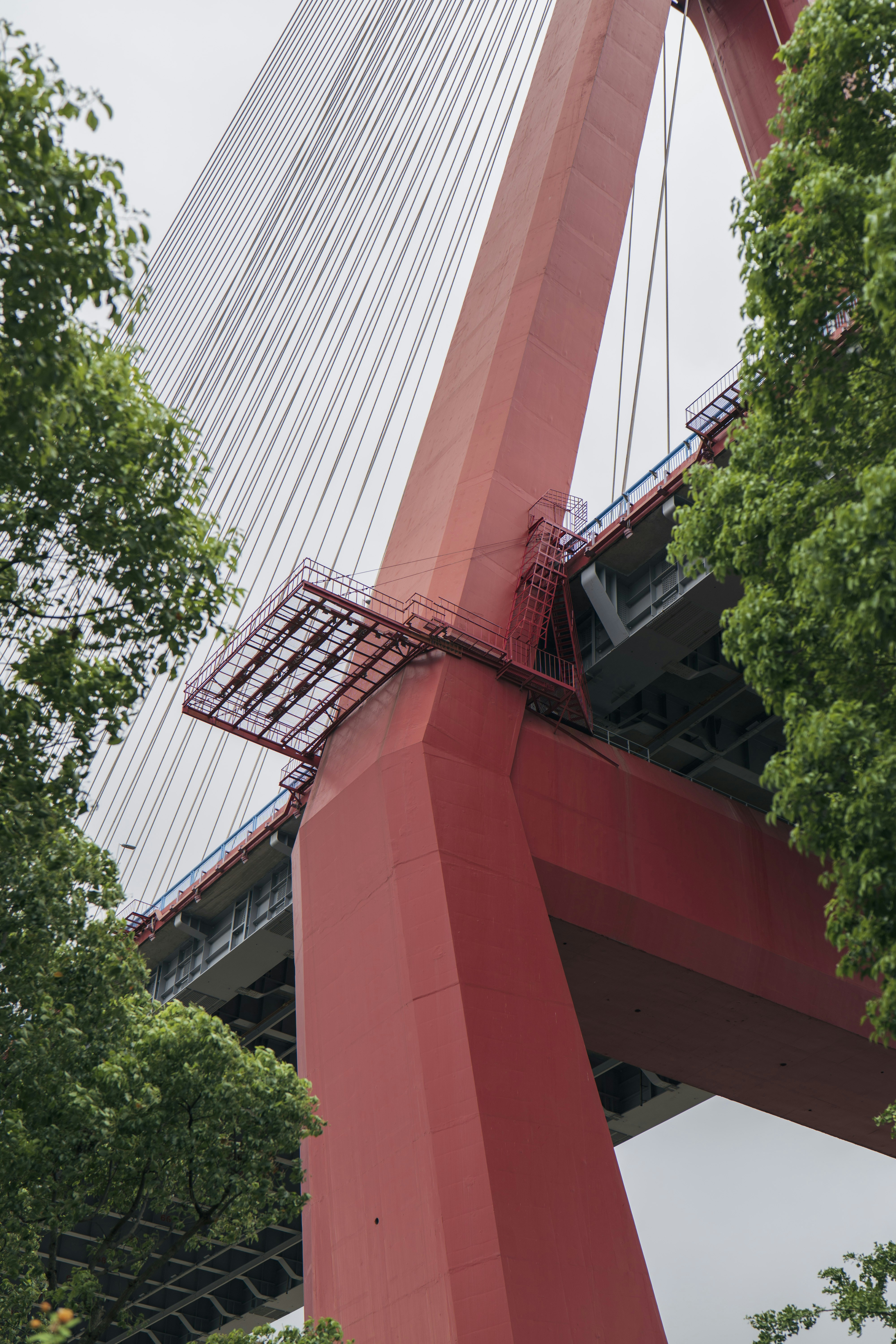 Architectural Symphony: The Dance of Steel and Nature
