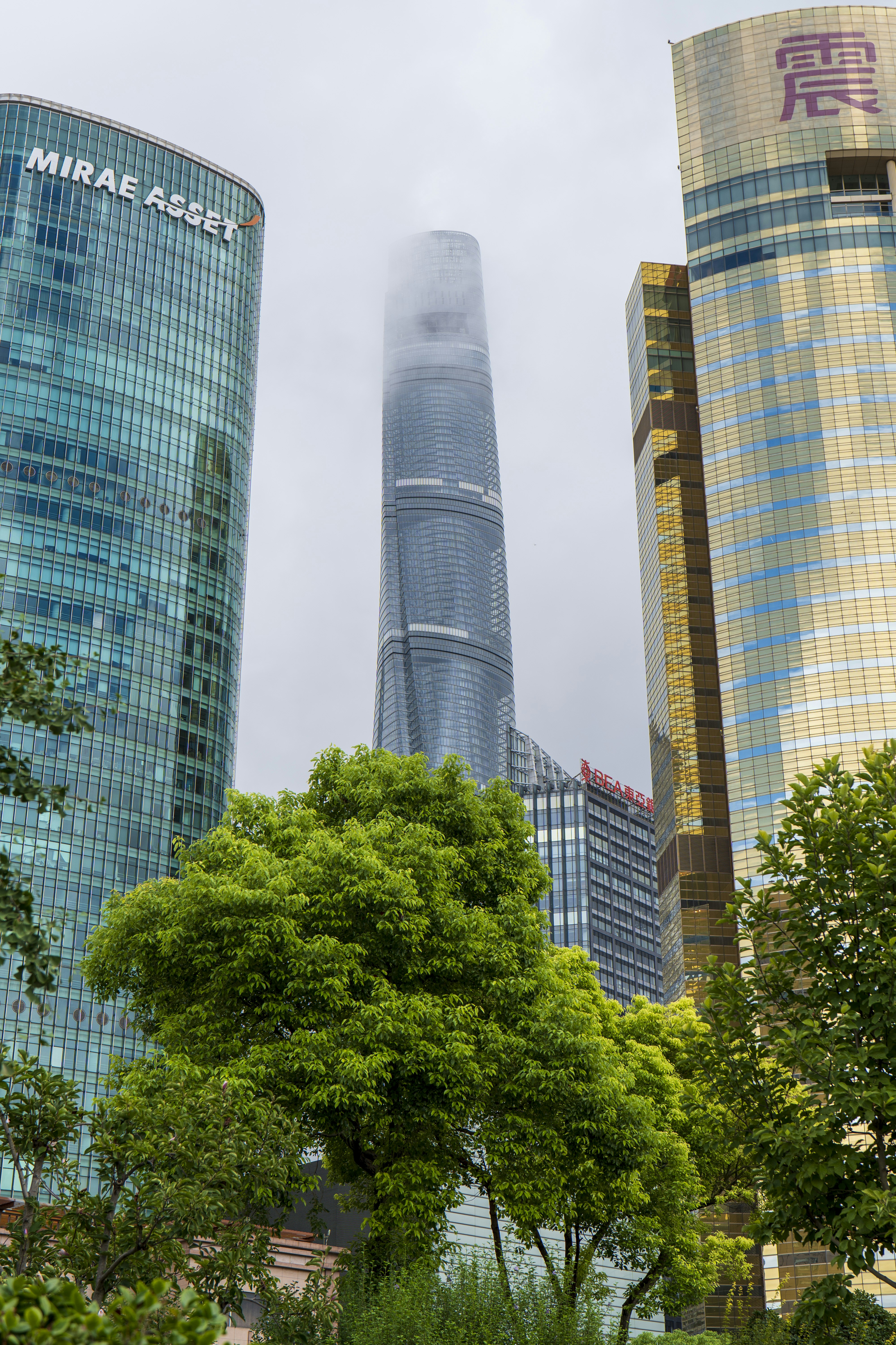 Mist-veiled Spire: Trees Framing a Glassy City Core