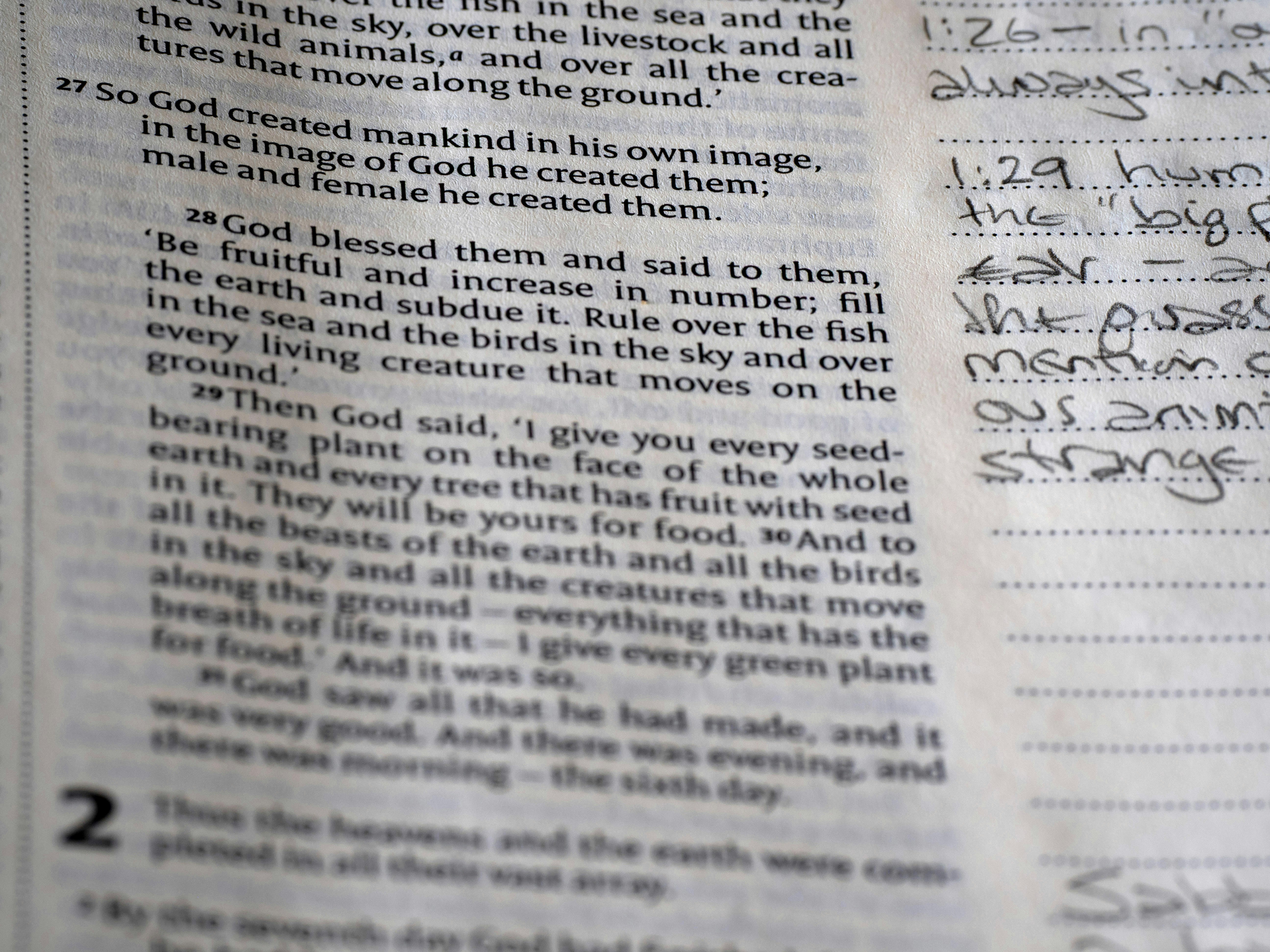 Textual Echoes: A Page Framed by Handwritten Notes