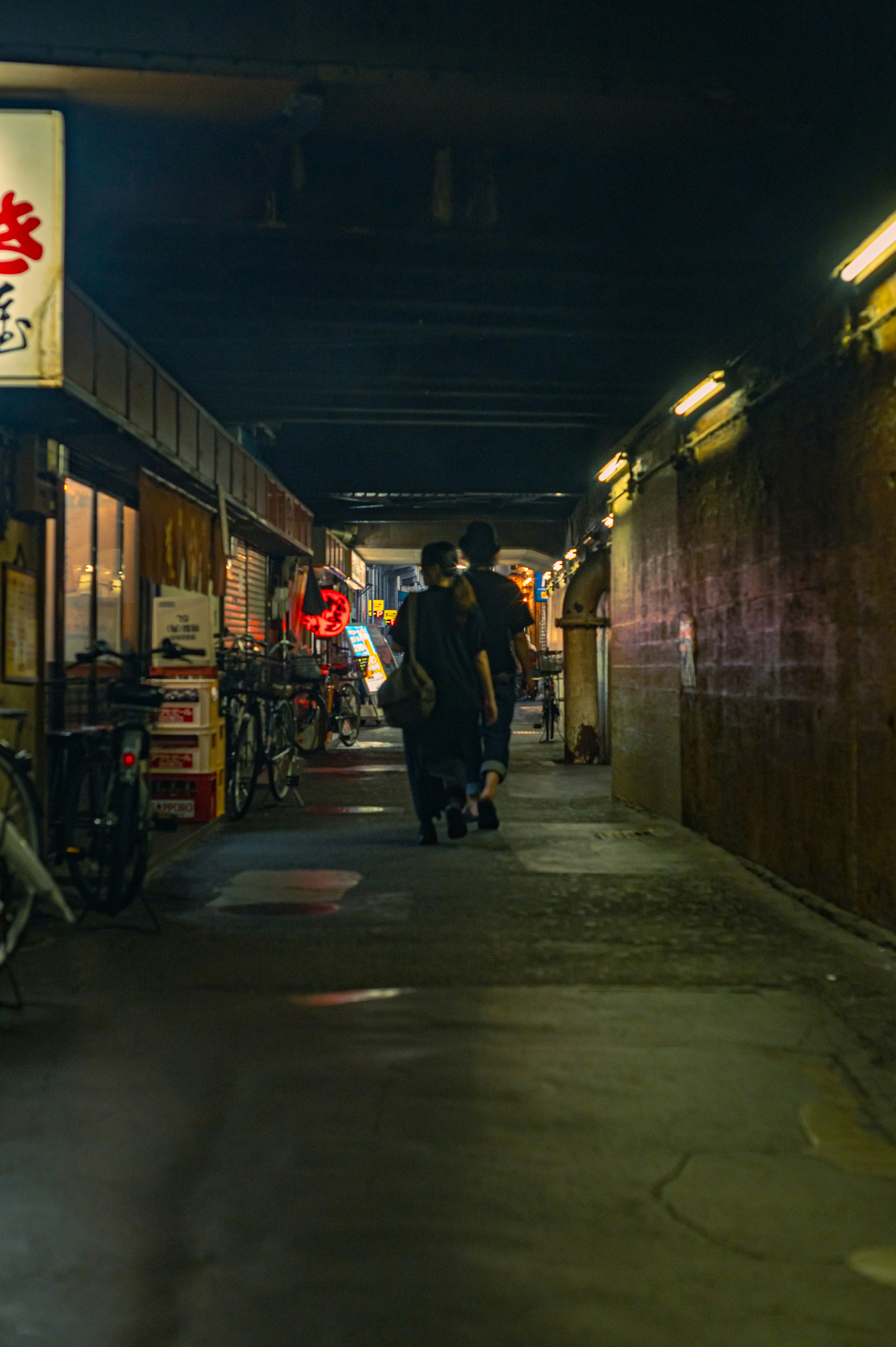 Echoes of Urban Life: A Journey Through Hidden Alleys