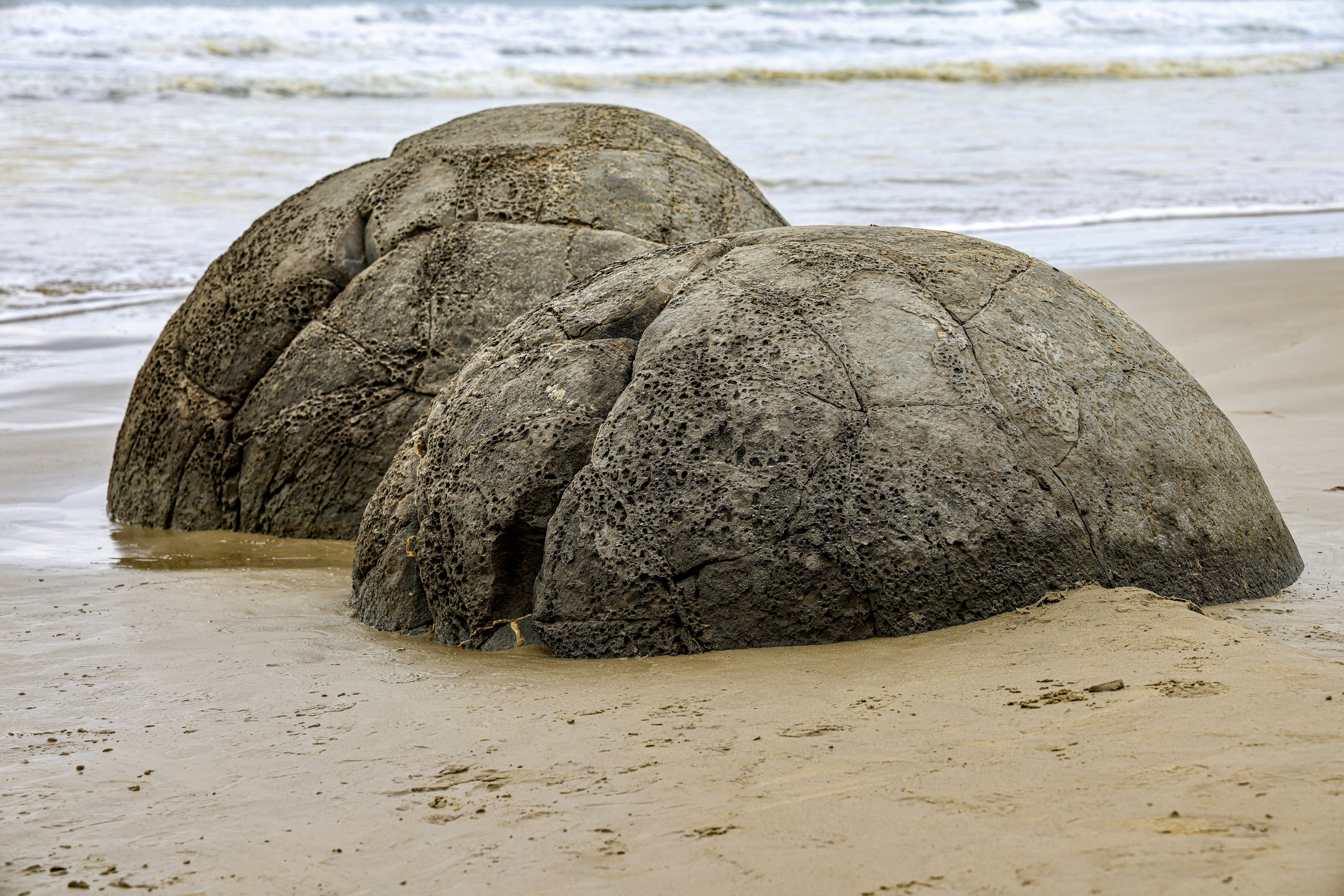 Nature's Sculpted Curiosities on the Shoreline