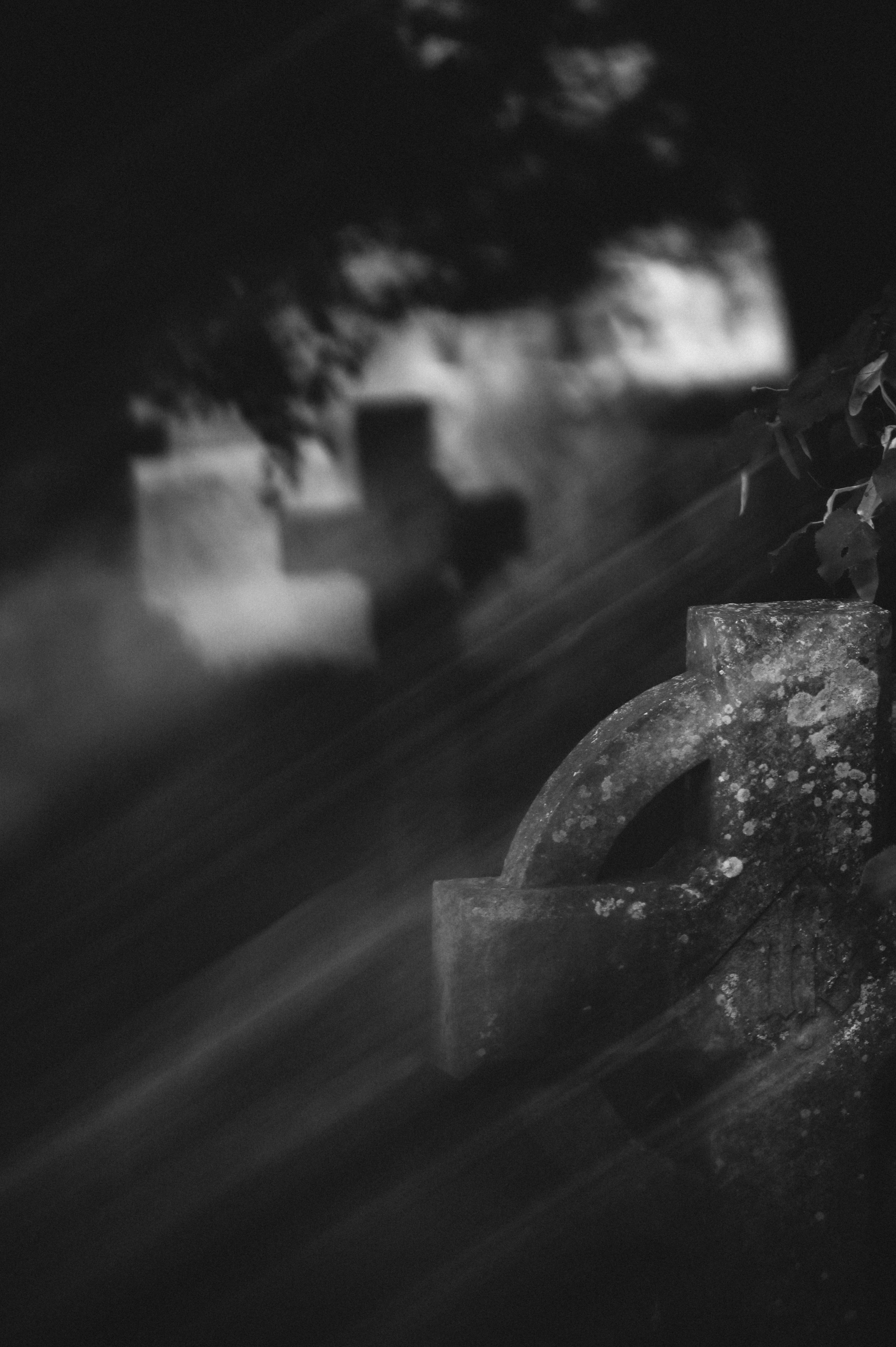 Echoes of Time: A Silent Tribute
