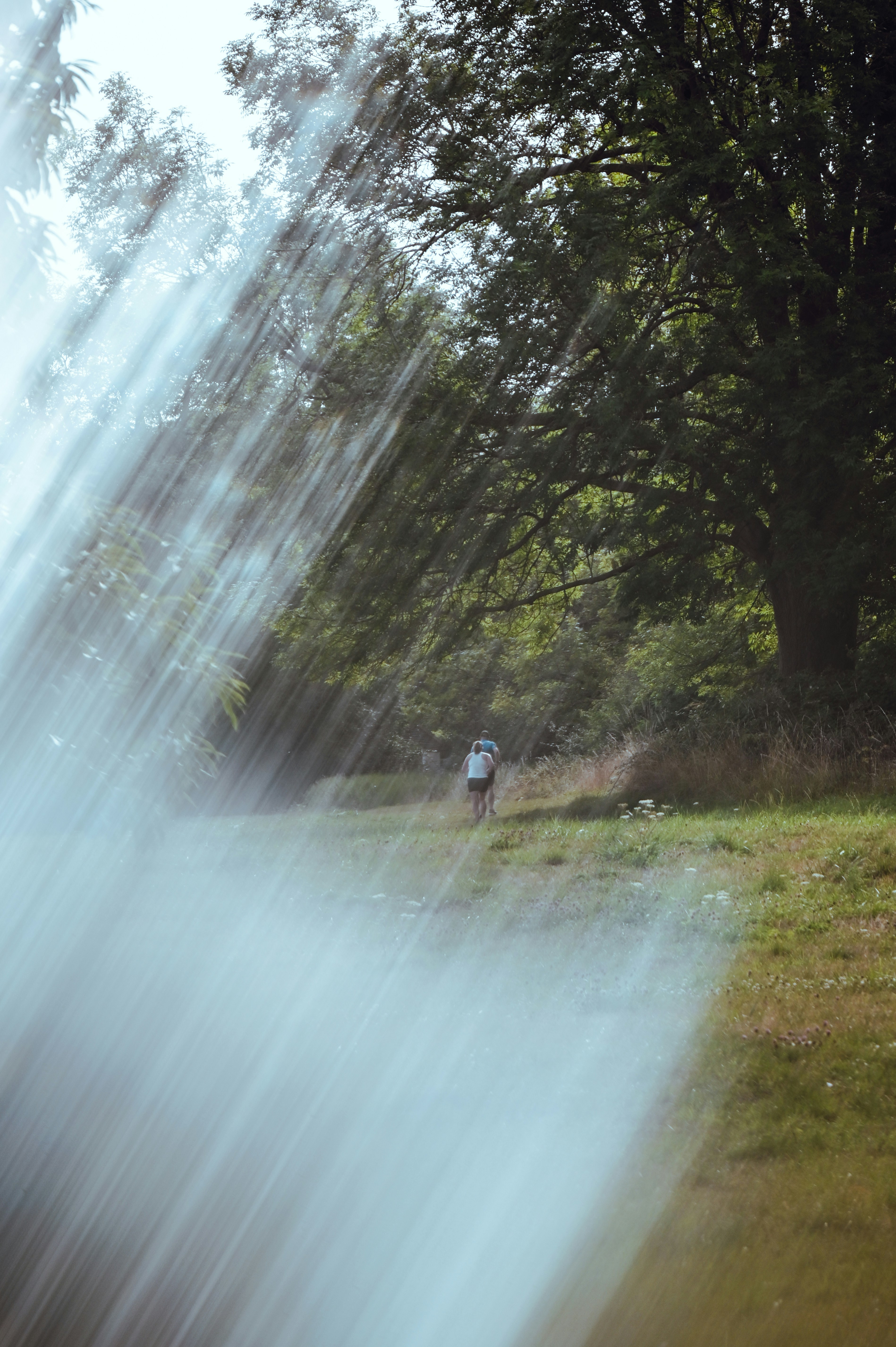 Reflect Lens Supernova Filter // 70-300 | Sunlight streams through a forest with a person.