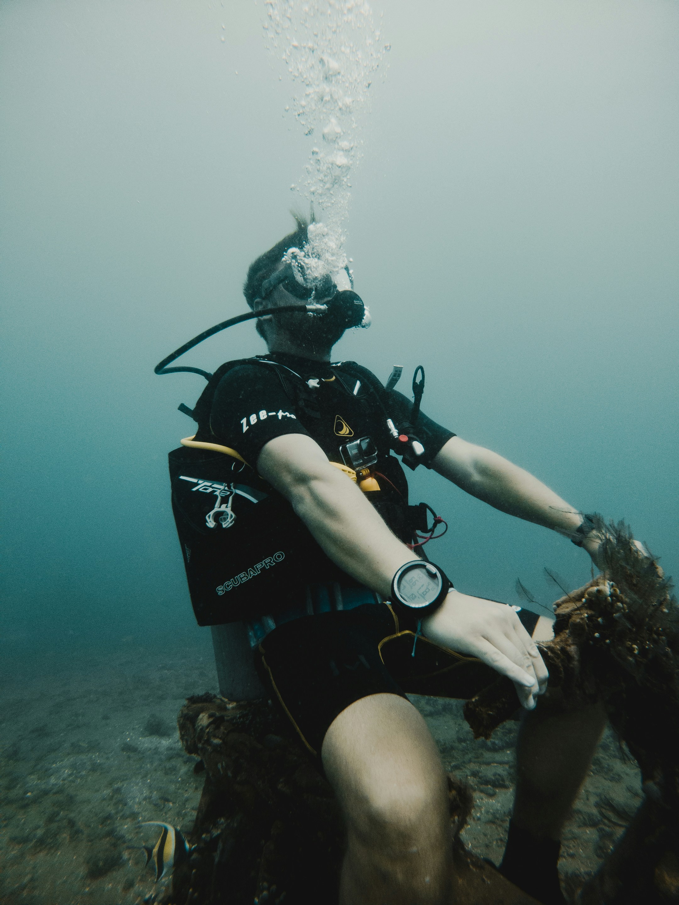 C:\DCIM\100GOPRO\GOPR0906.GPR | A diver sits underwater, looking up.