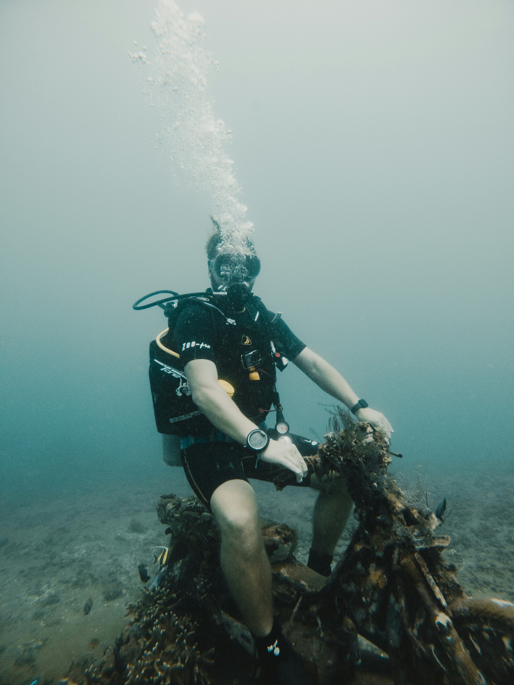 Diver exploring a submerged motorcycle covered in marine life, surrounded by bubbles and aquatic scenery.