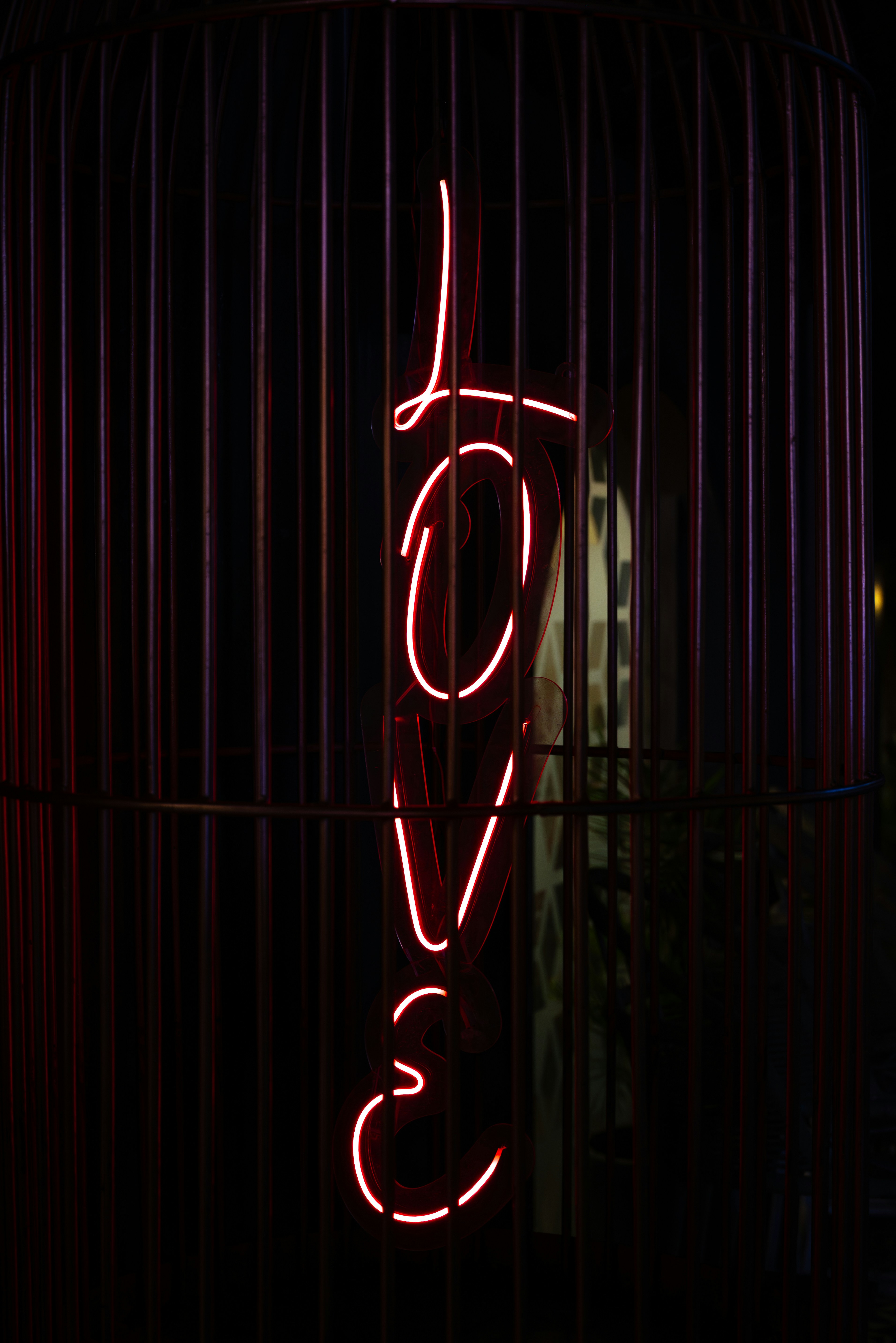 Neon Whispers of Affection