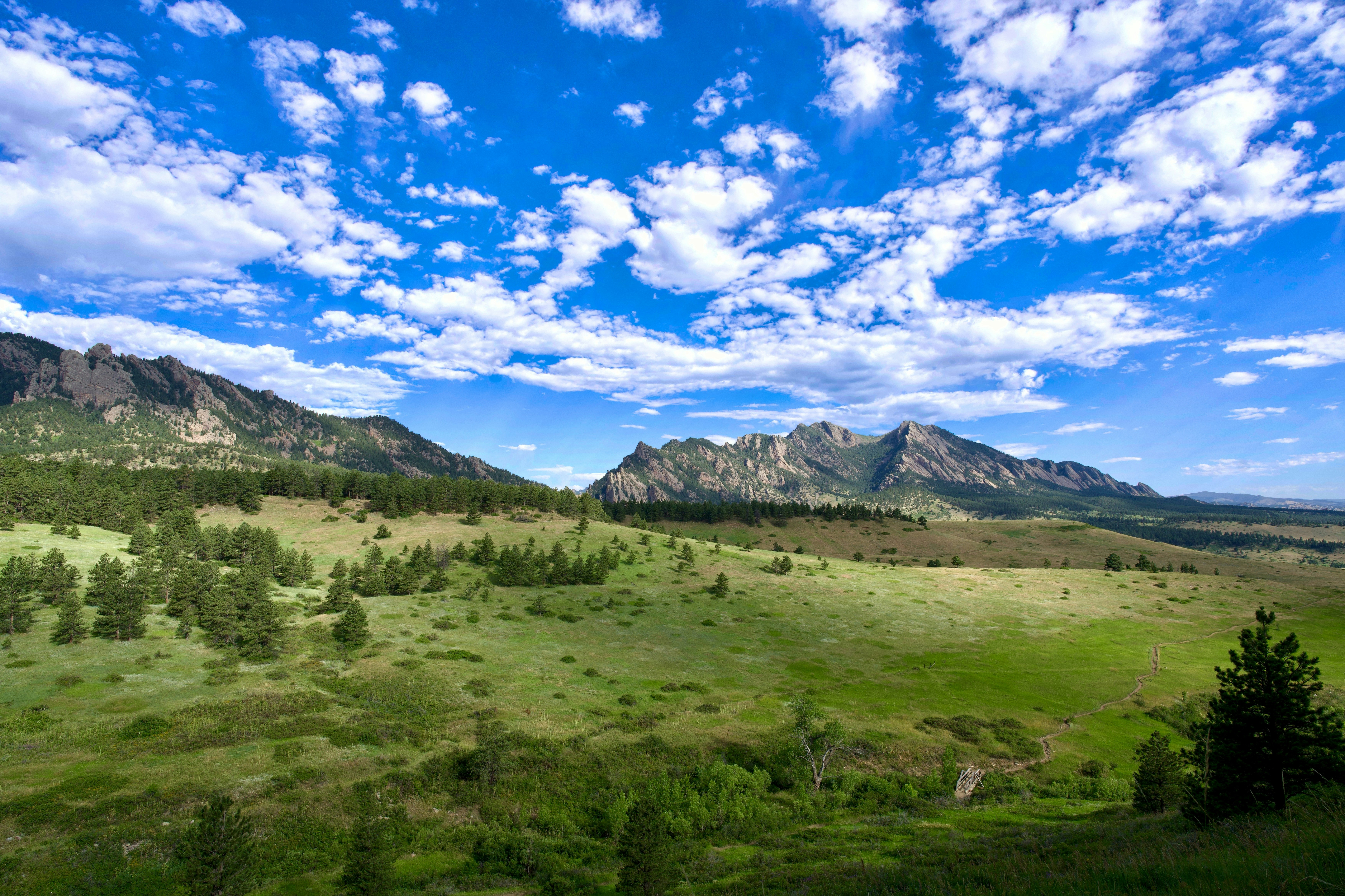 Mountains and a vibrant green field under a blue sky.