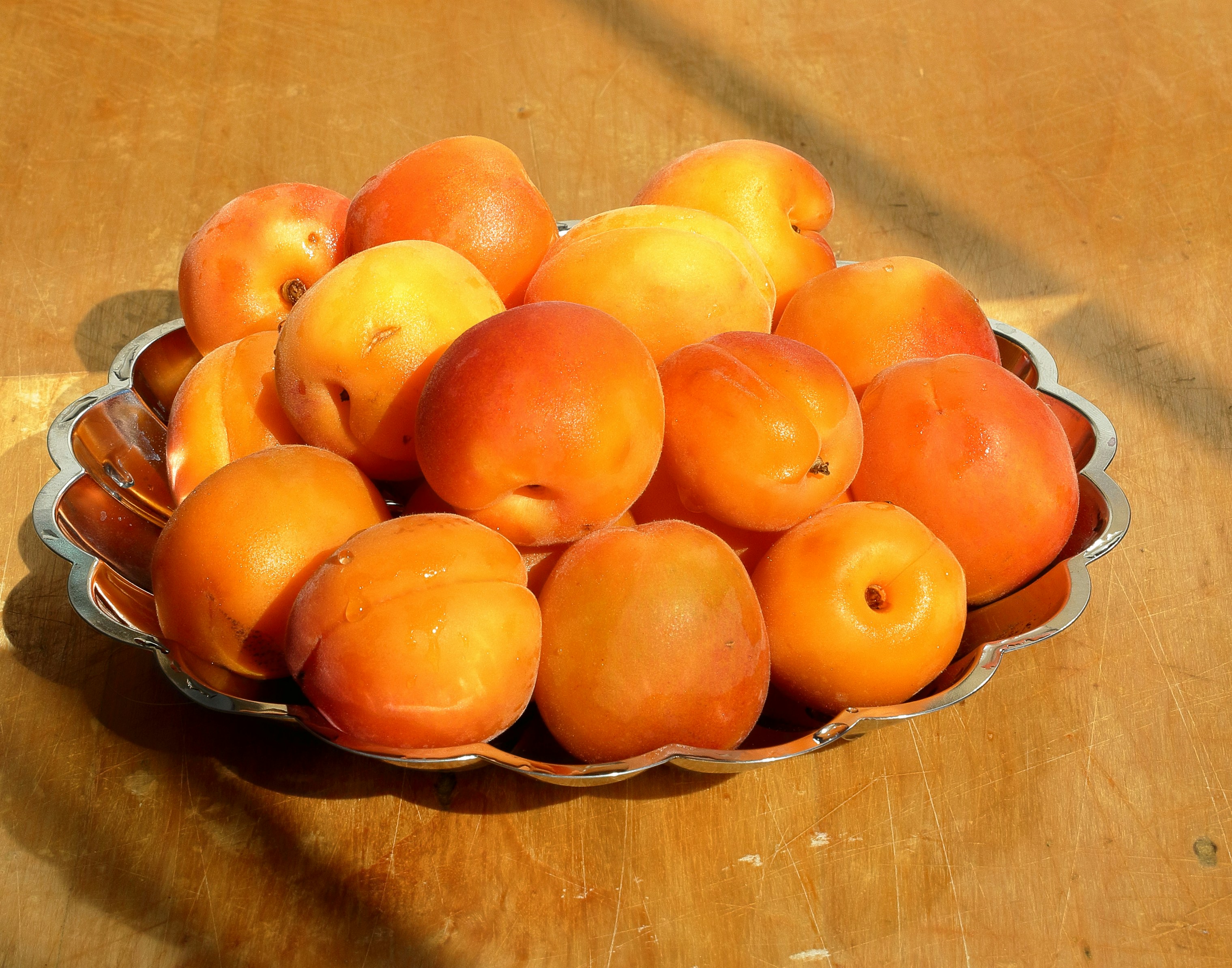 A shiny silver bowl filled with ripe apricots, showcasing their vibrant orange hues against a wooden surface.