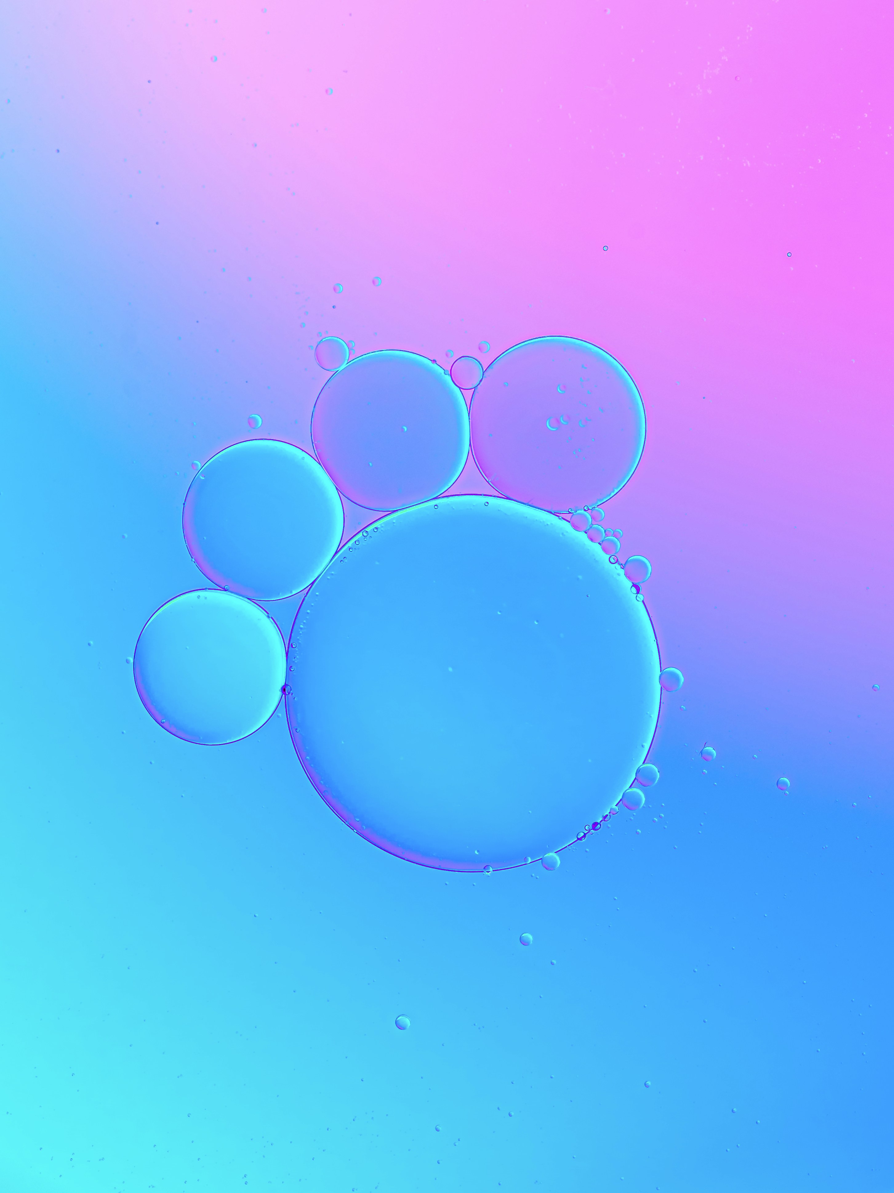 Bubbles in a Dreamscape