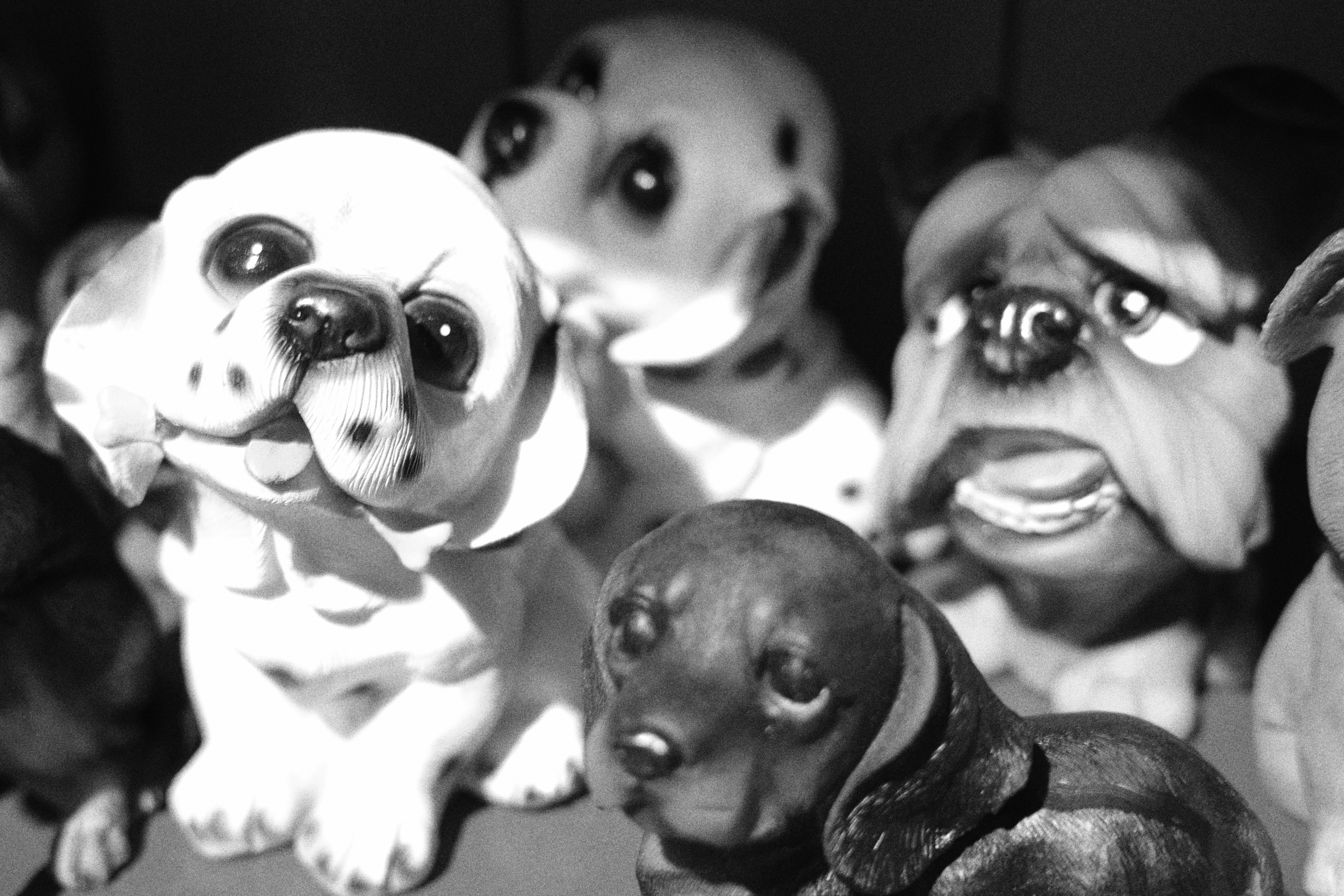 Whimsical Canine Companions in Monochrome