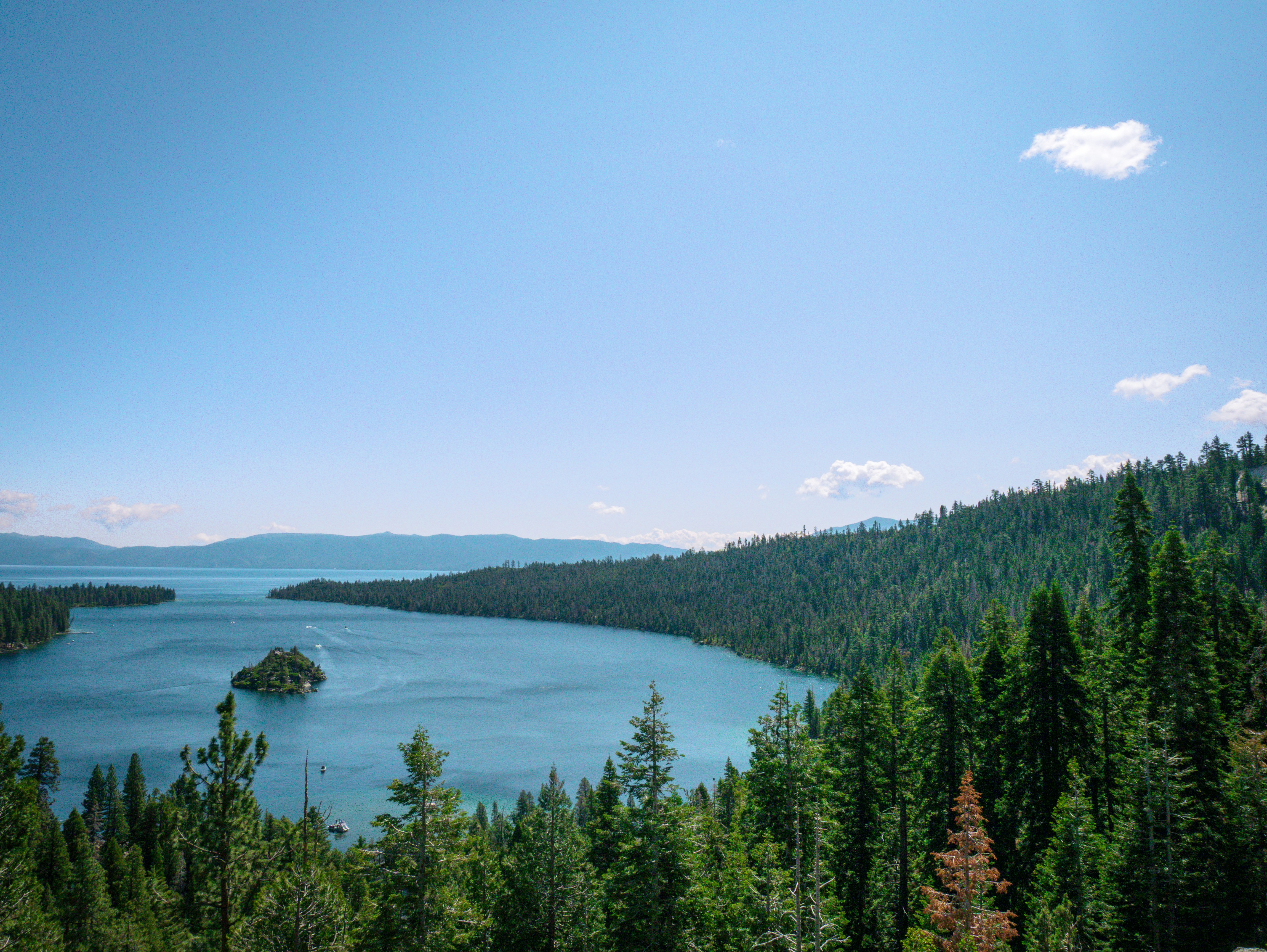 A scenic view of a lake surrounded by trees.