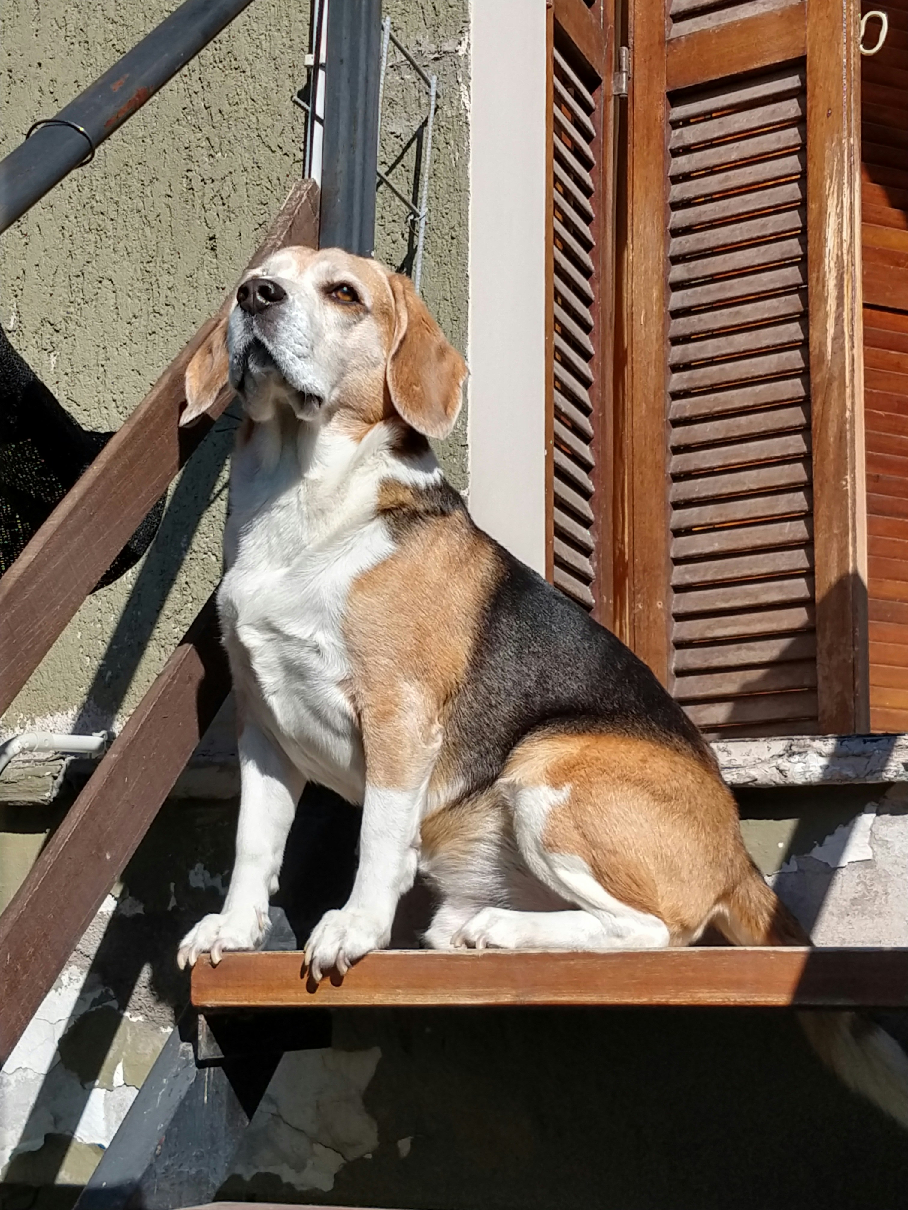 Omar Abud (@omarabud) | Unsplash Photo Community