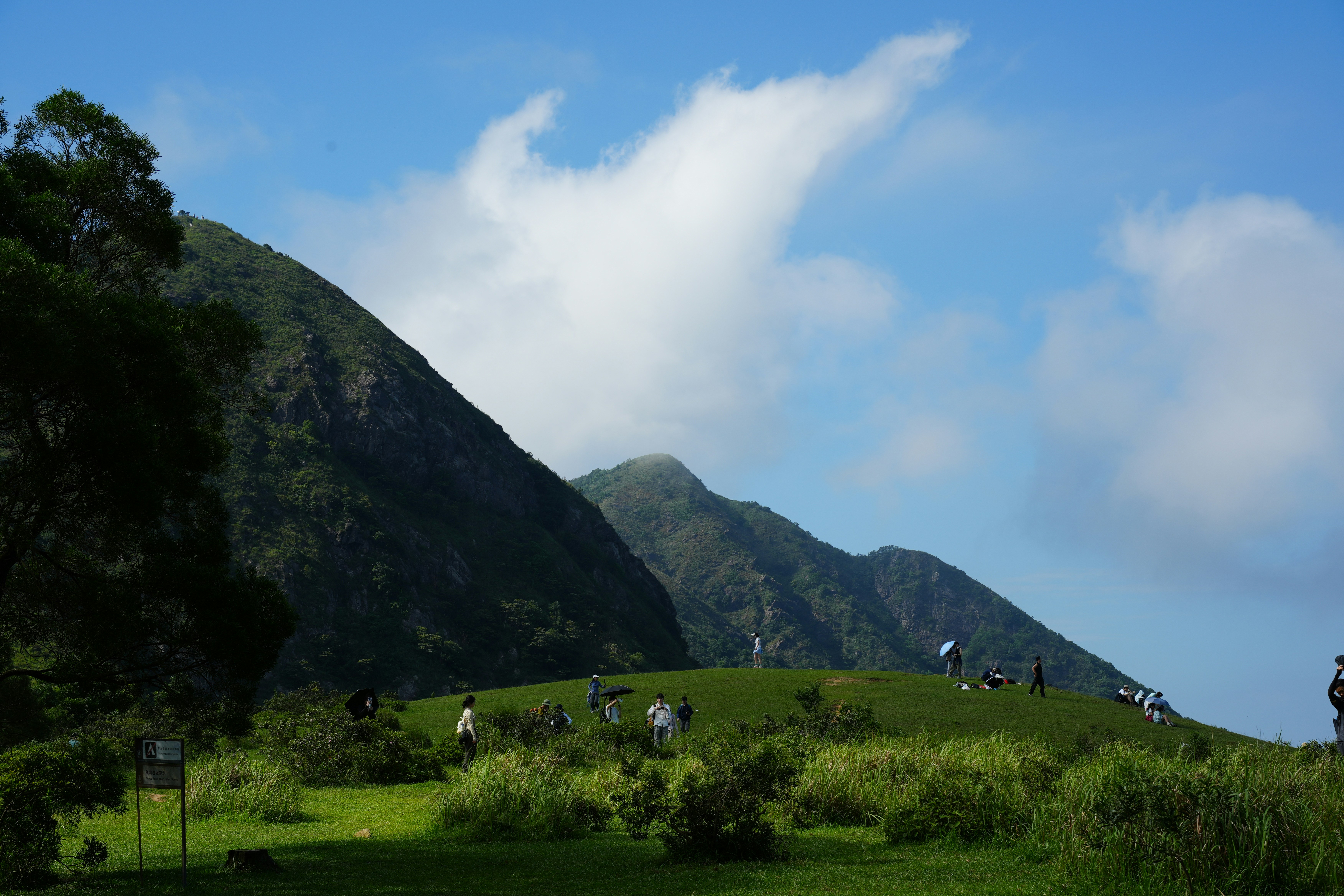 Gathering on the Green Hillside