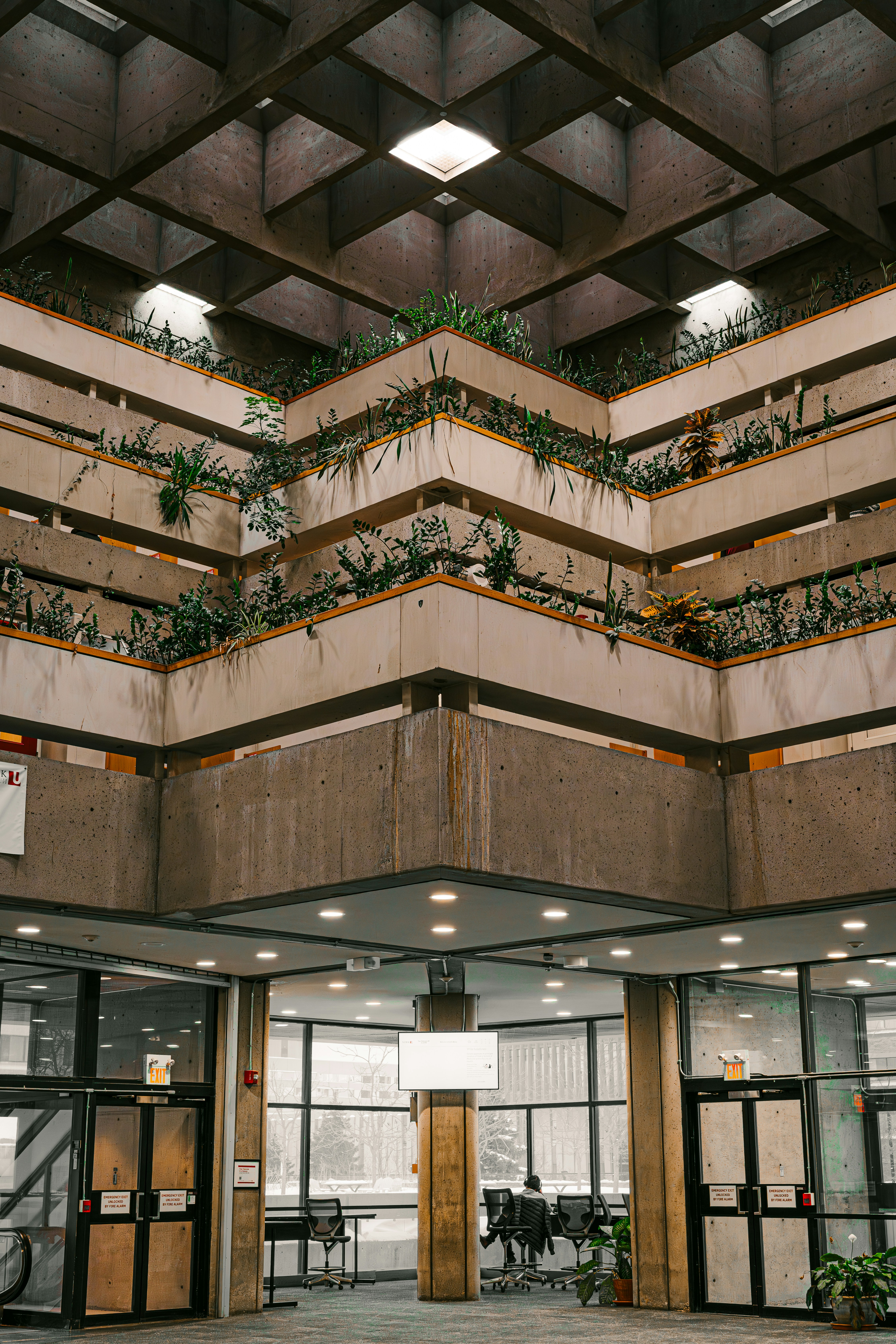 Scott Library at York University | A concrete interior features cascading levels of greenery.