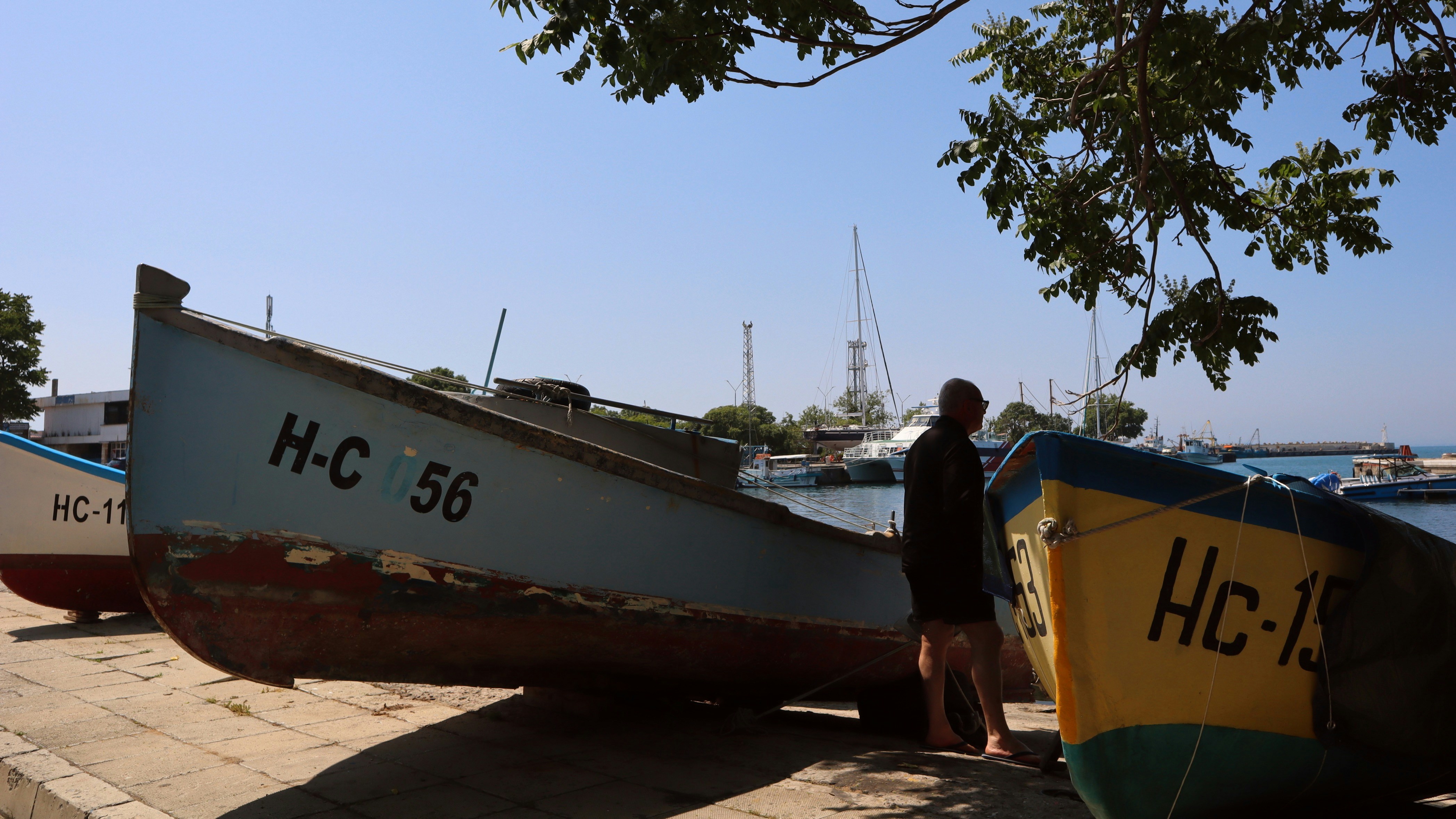 Hushed Marina: Boats Resting on the Concrete Slip
