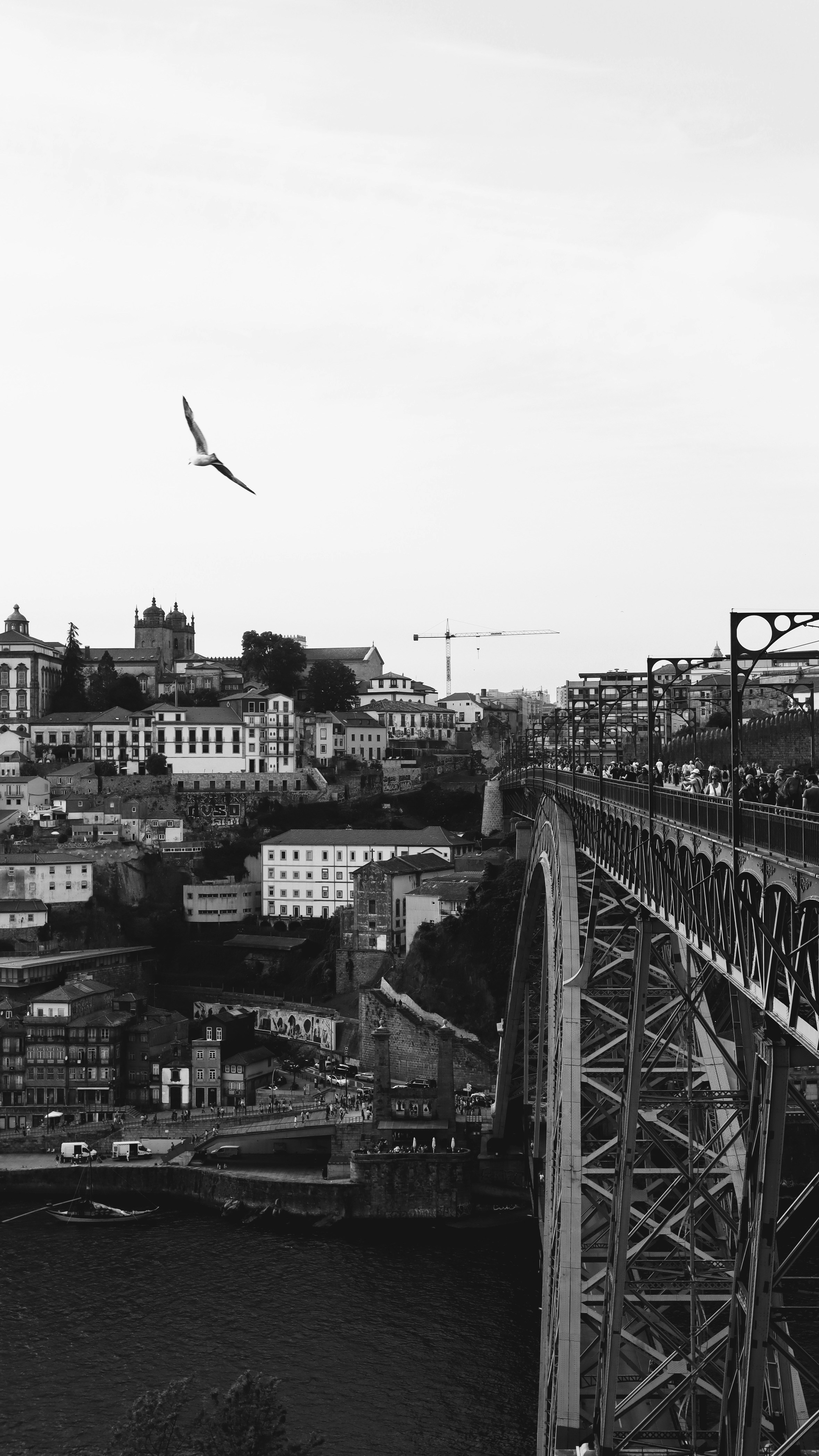 A seagull glides above a bustling riverside cityscape, dominated by a striking bridge and historical architecture. The scene is captured in monochrome, emphasizing the textures and contrasts of urban life.