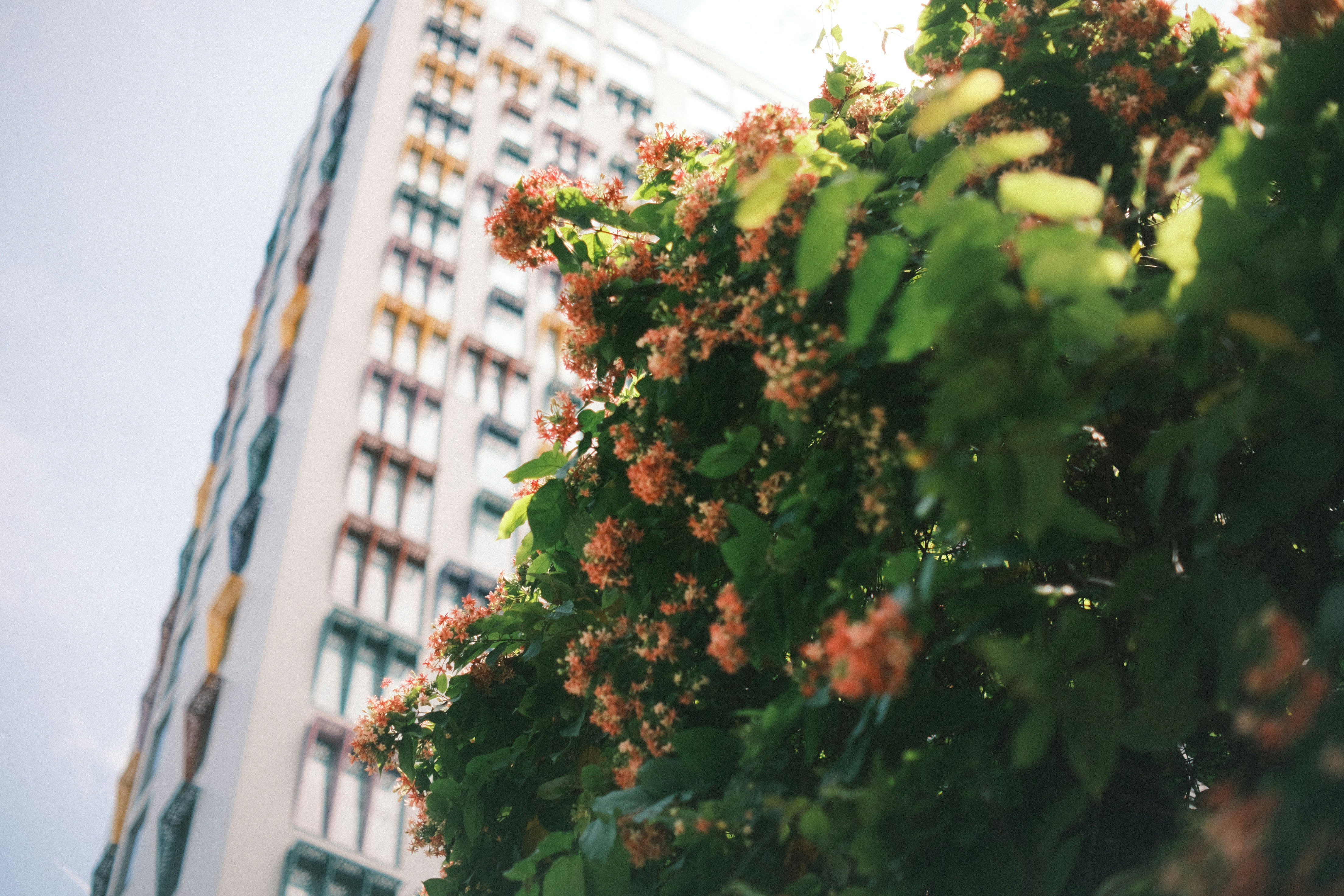Building and flowers under a cloudy sky.
