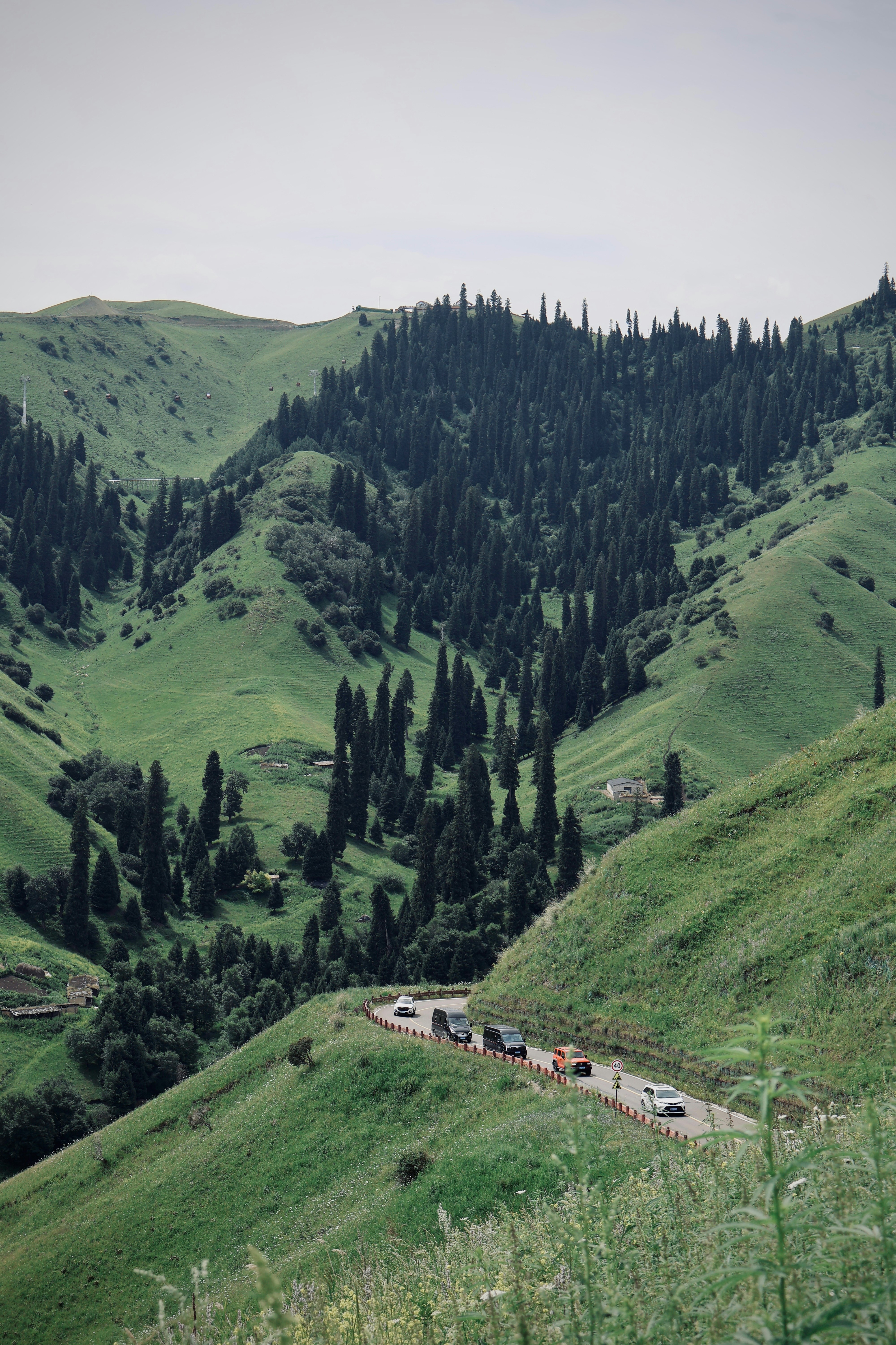 Rolling green hills and trees line a winding road.