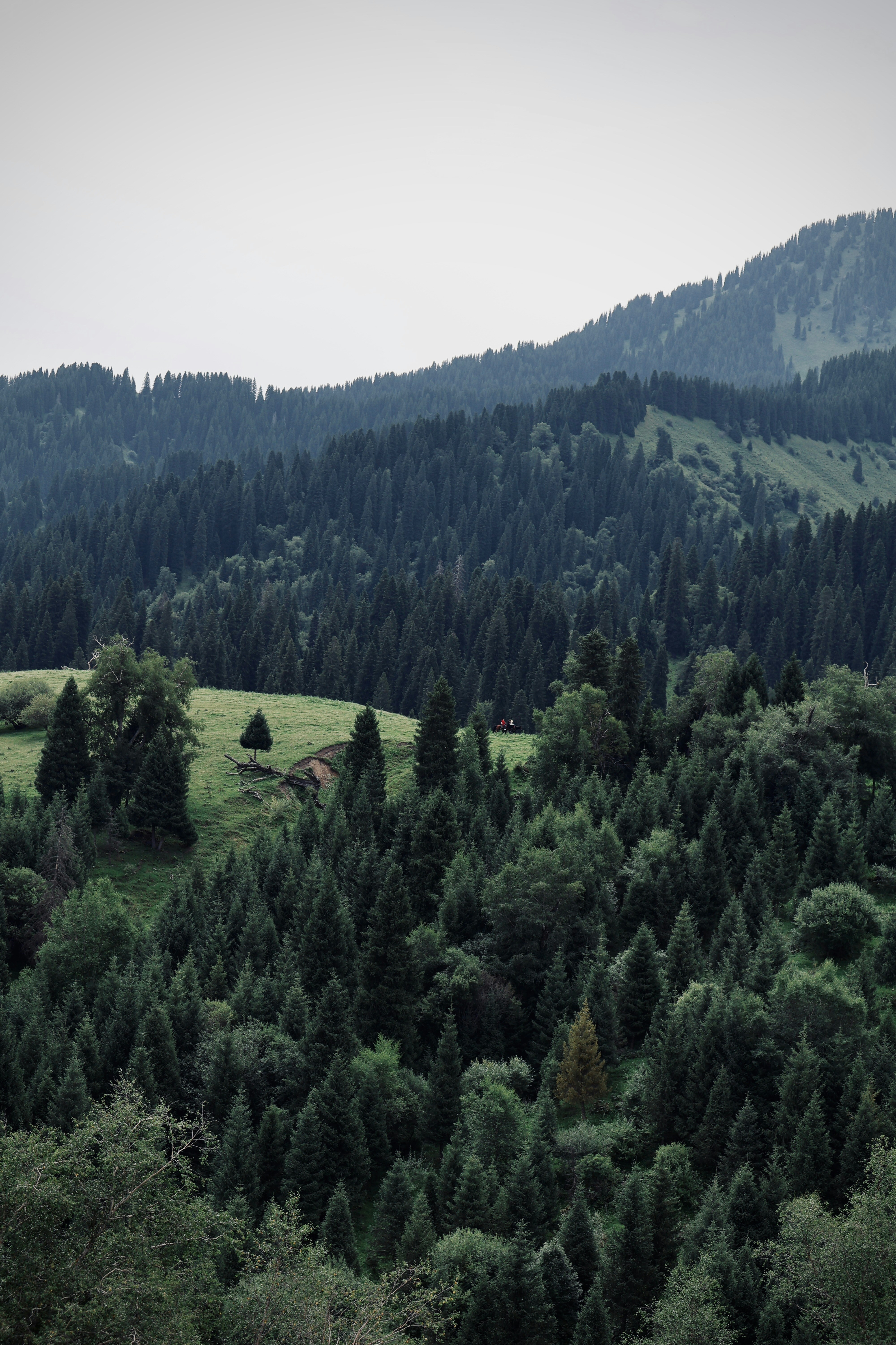 Dense evergreen forest covers rolling mountain terrain.