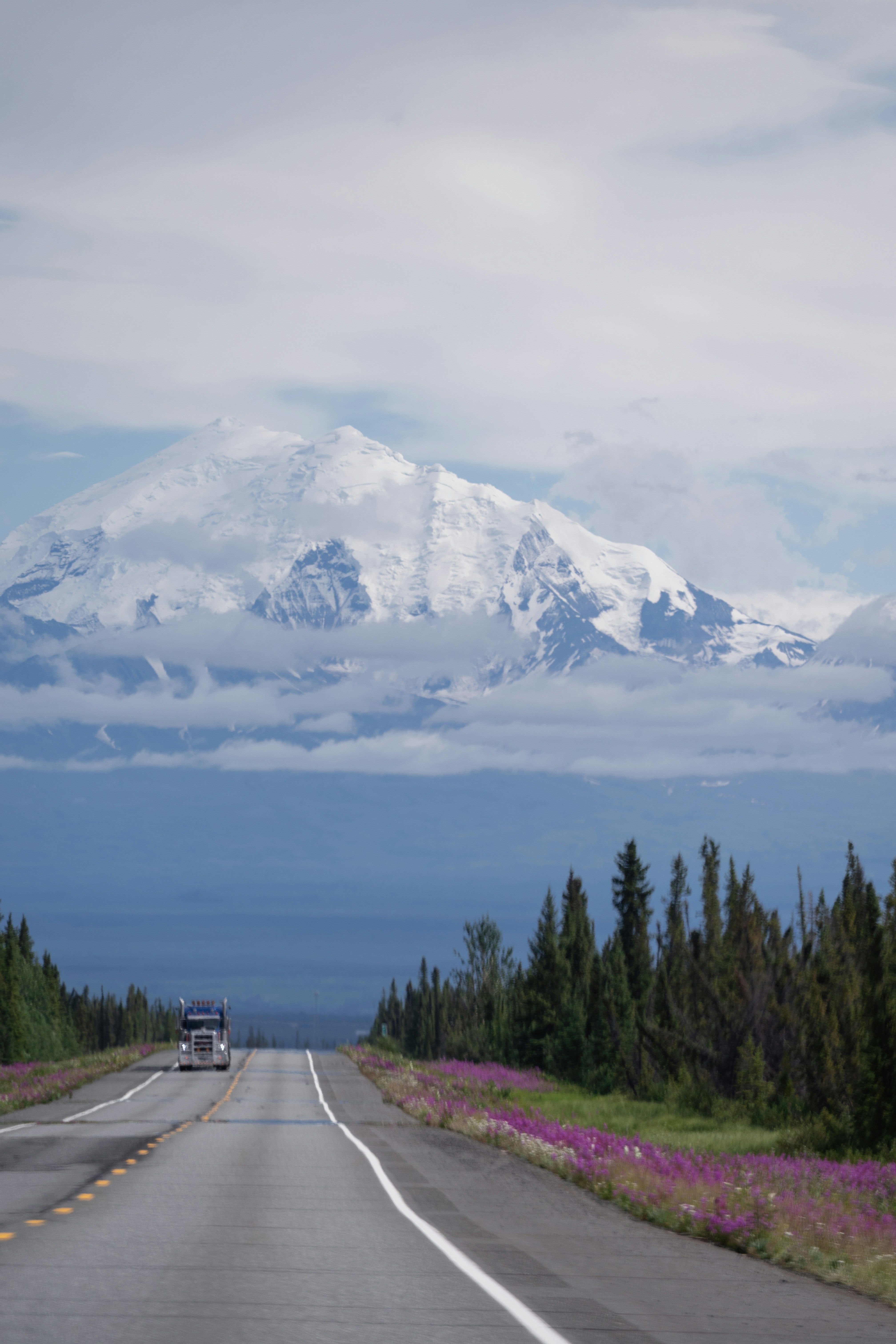 Journey Through Nature's Majesty
