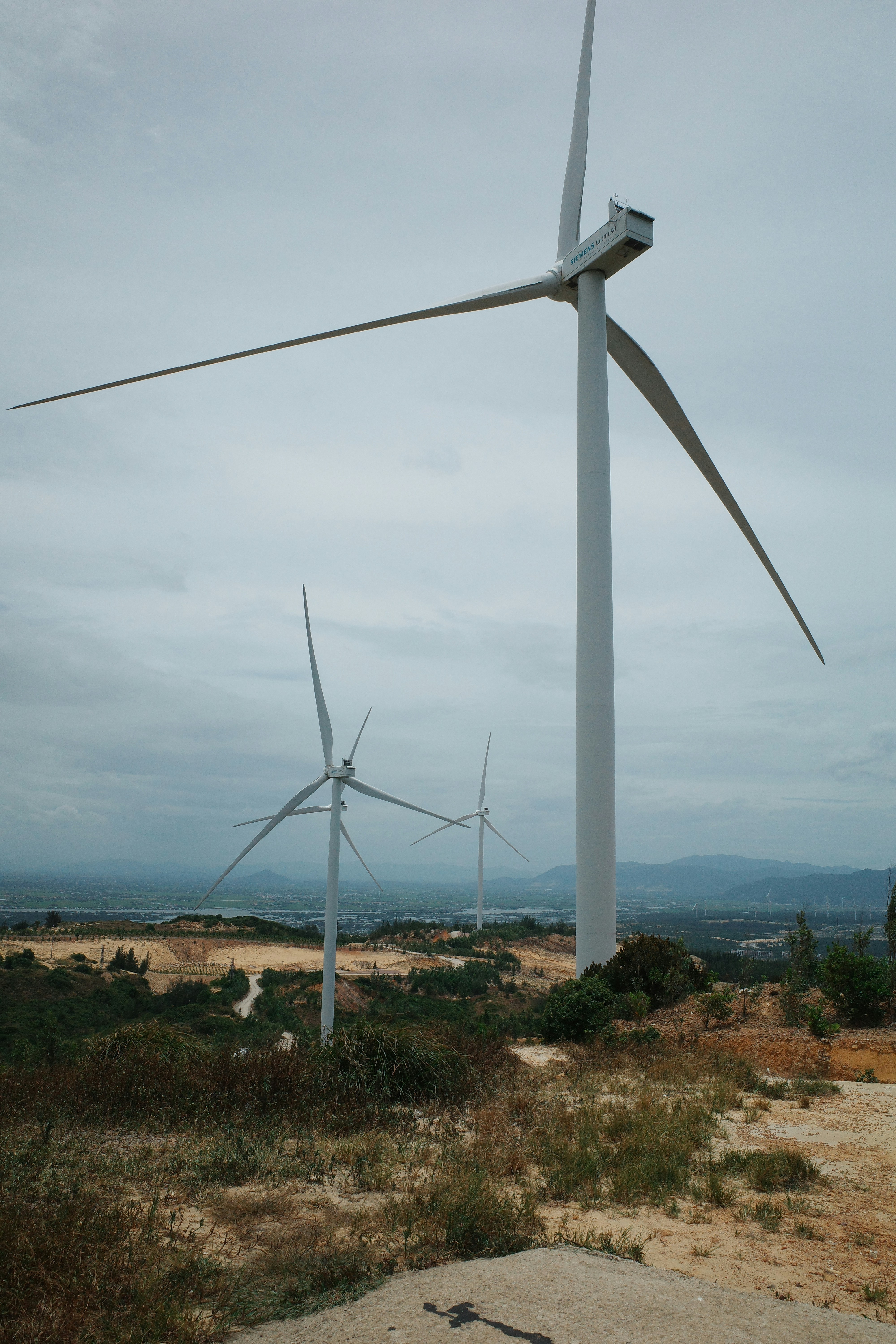 Whispers of the Wind: A Dance of Turbines