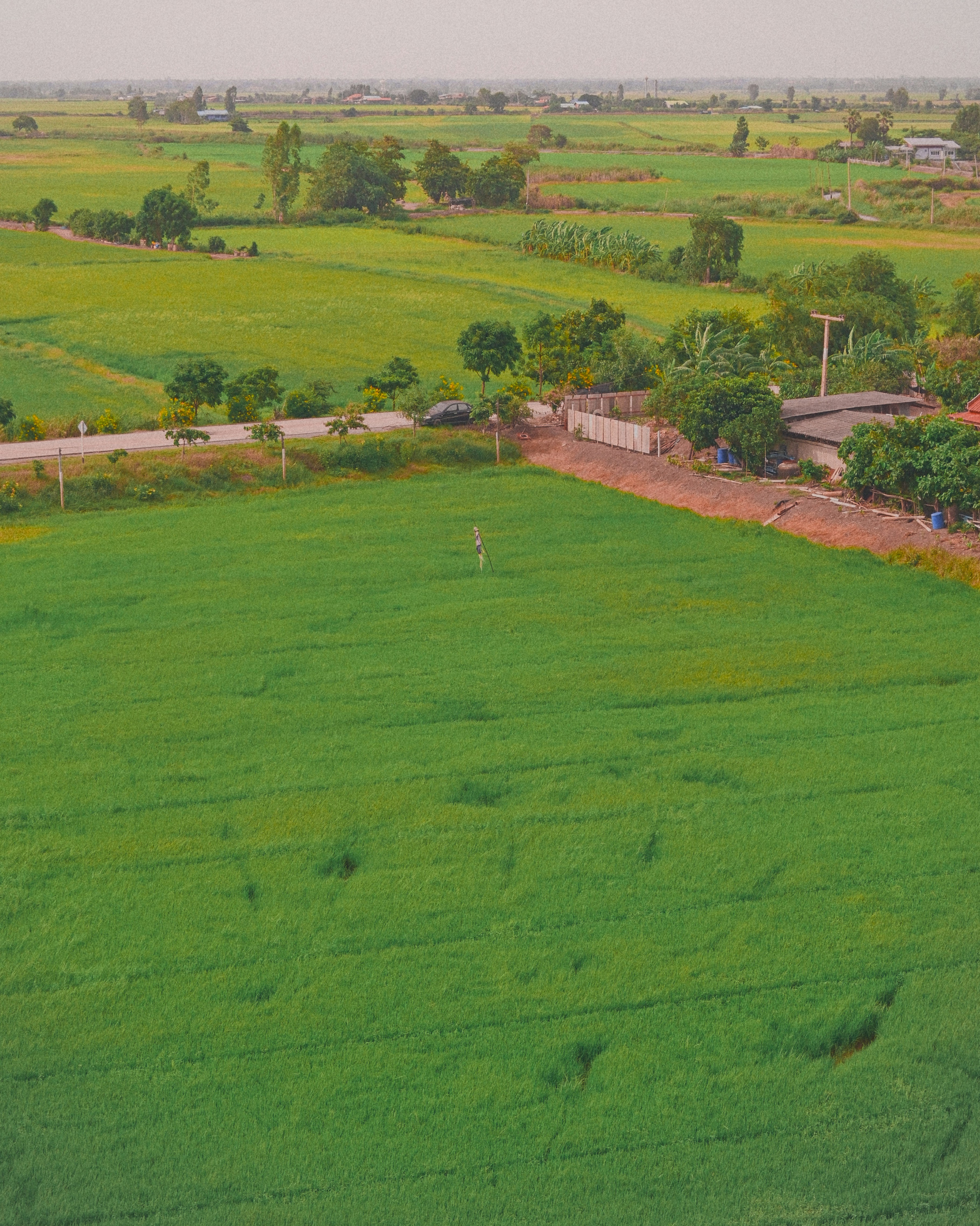 Green fields stretch across a rural landscape.