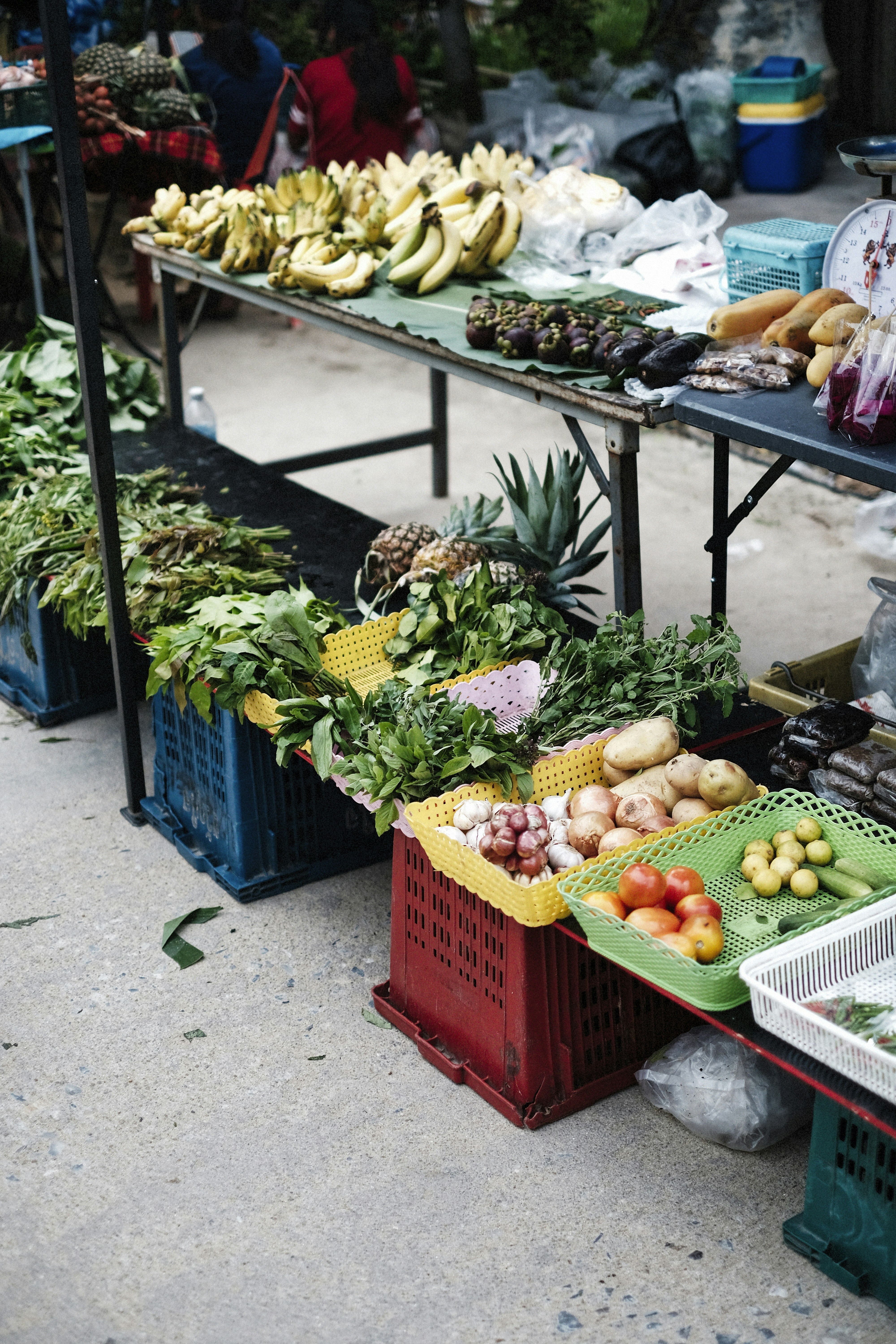 Fresh produce is displayed at a local market.