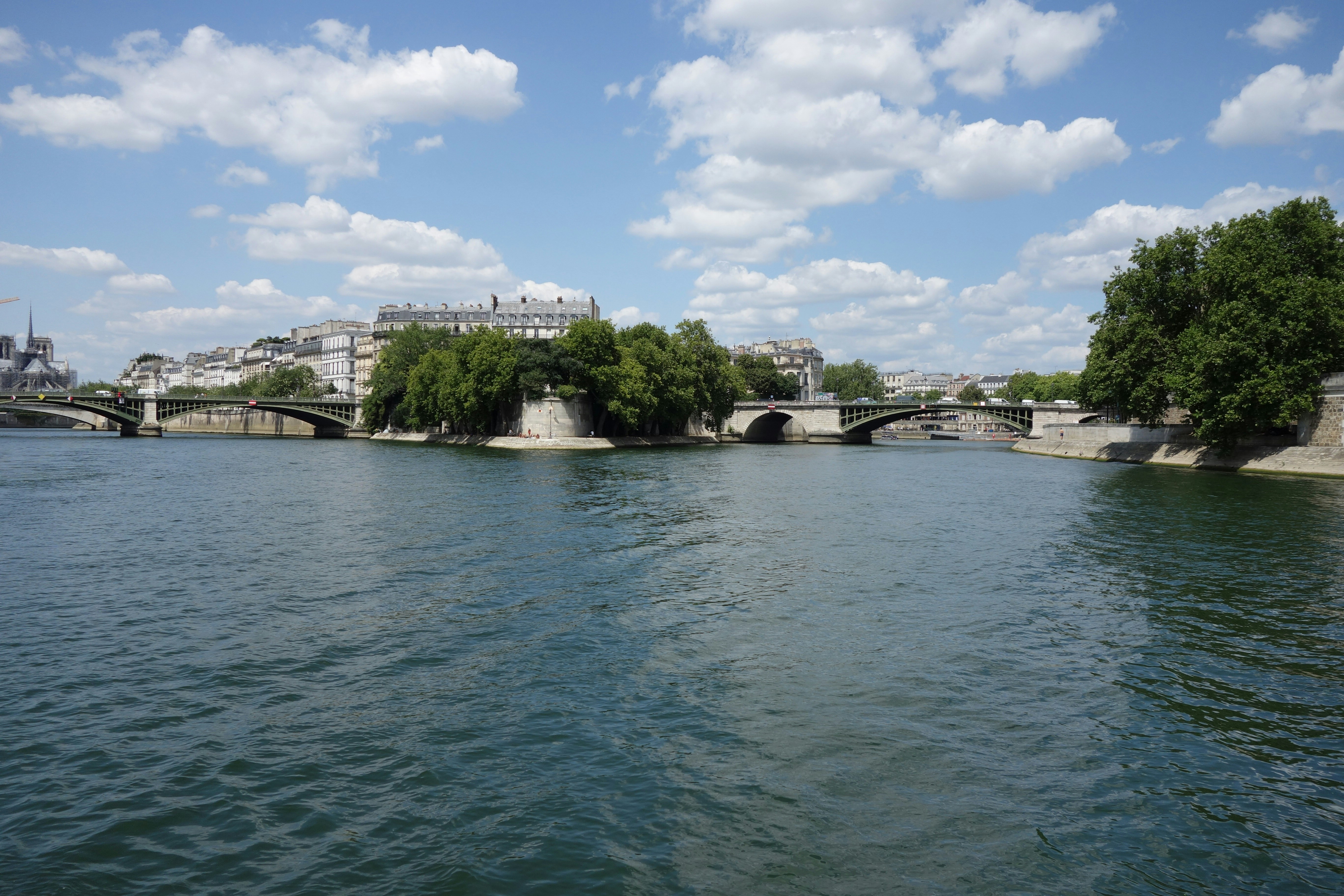 Lush greenery lines the banks of the Seine, with architectural bridges connecting the cityscape under a vibrant sky. The tranquil water reflects the lively surroundings.
