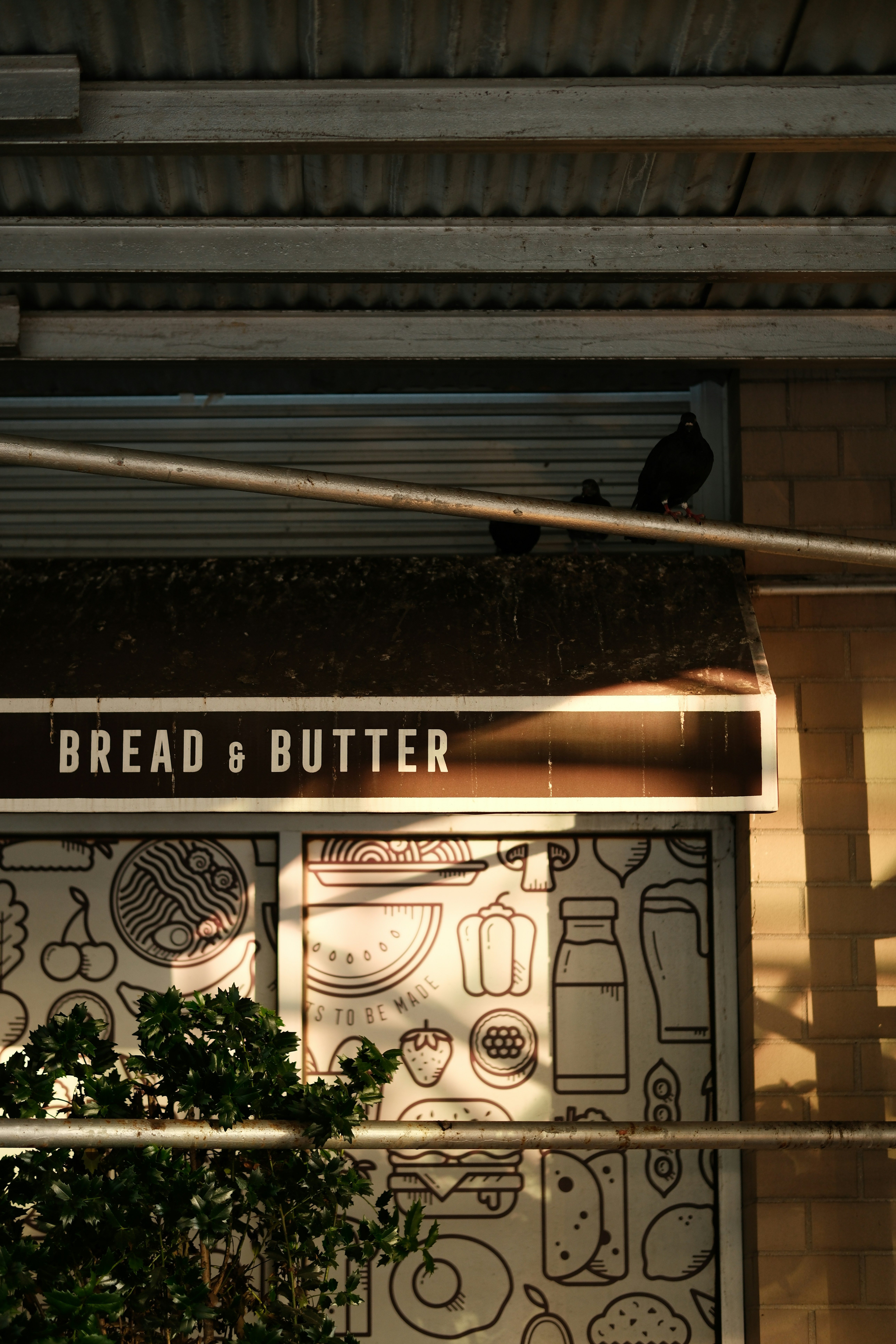 Urban Culinary Haven: A Slice of Life