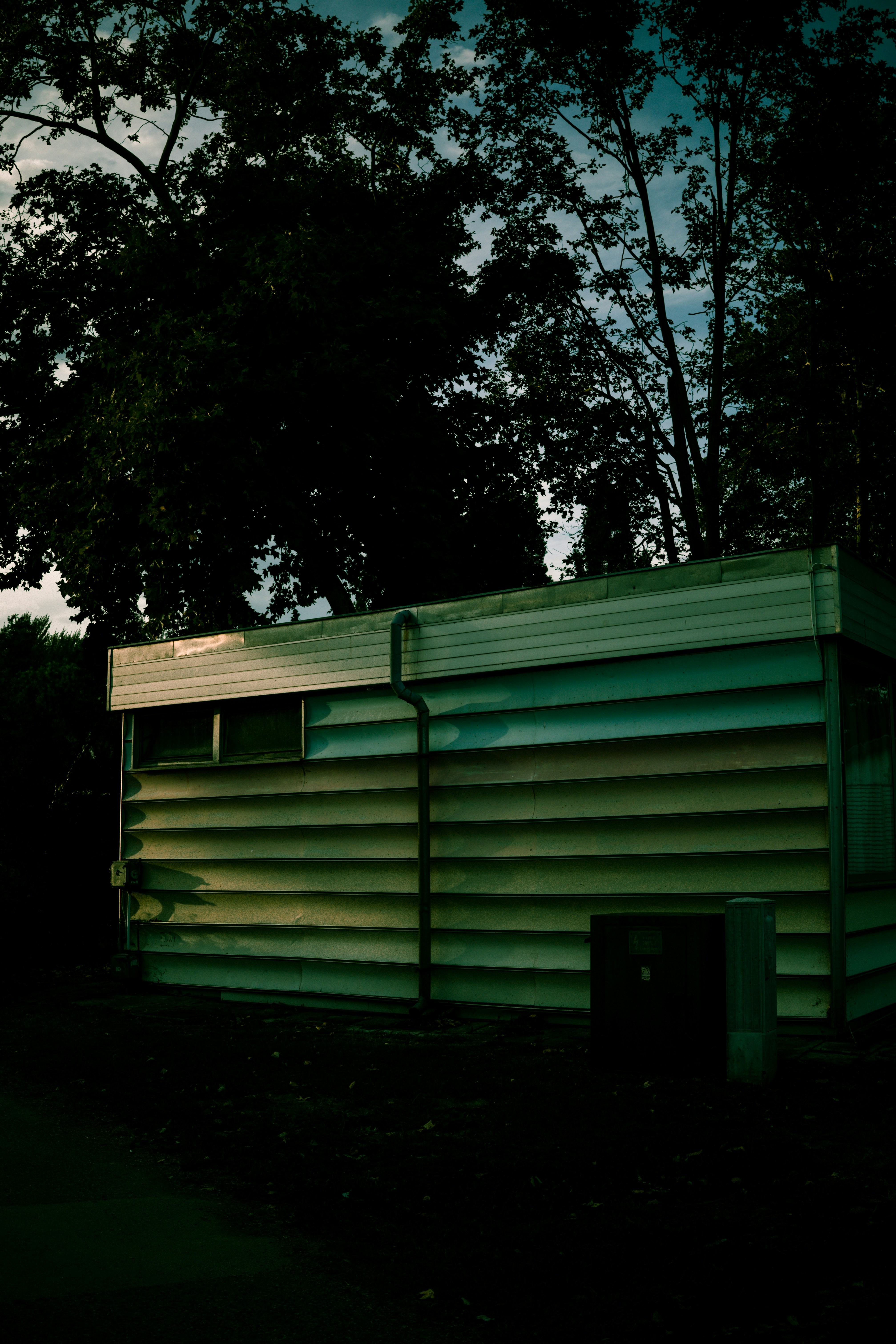 Whispers of Abandonment
