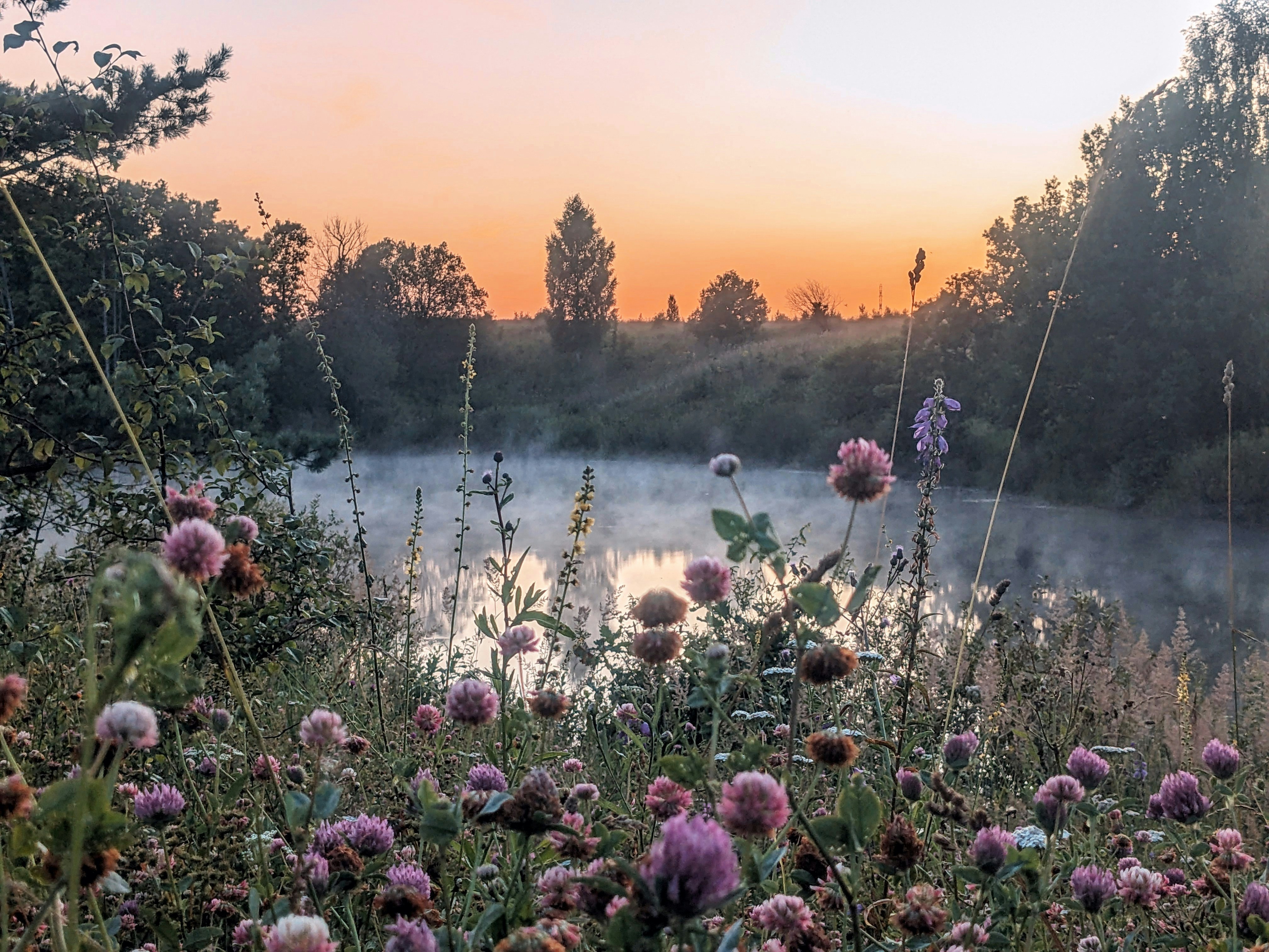 Vibrant wildflowers in the foreground frame a serene lake shrouded in morning mist, illuminated by the soft hues of sunrise.