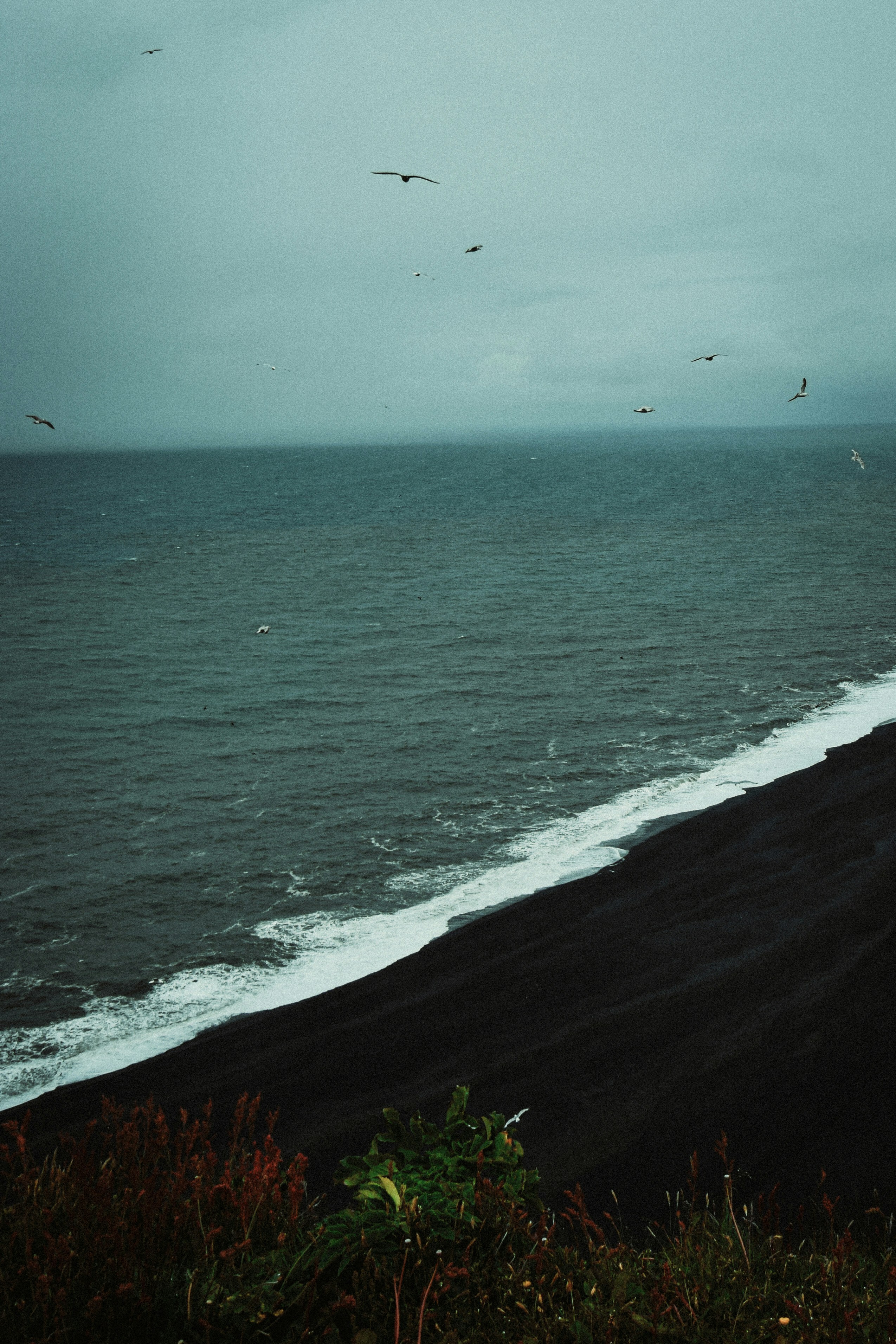 Birds fly over a dark ocean and shoreline.