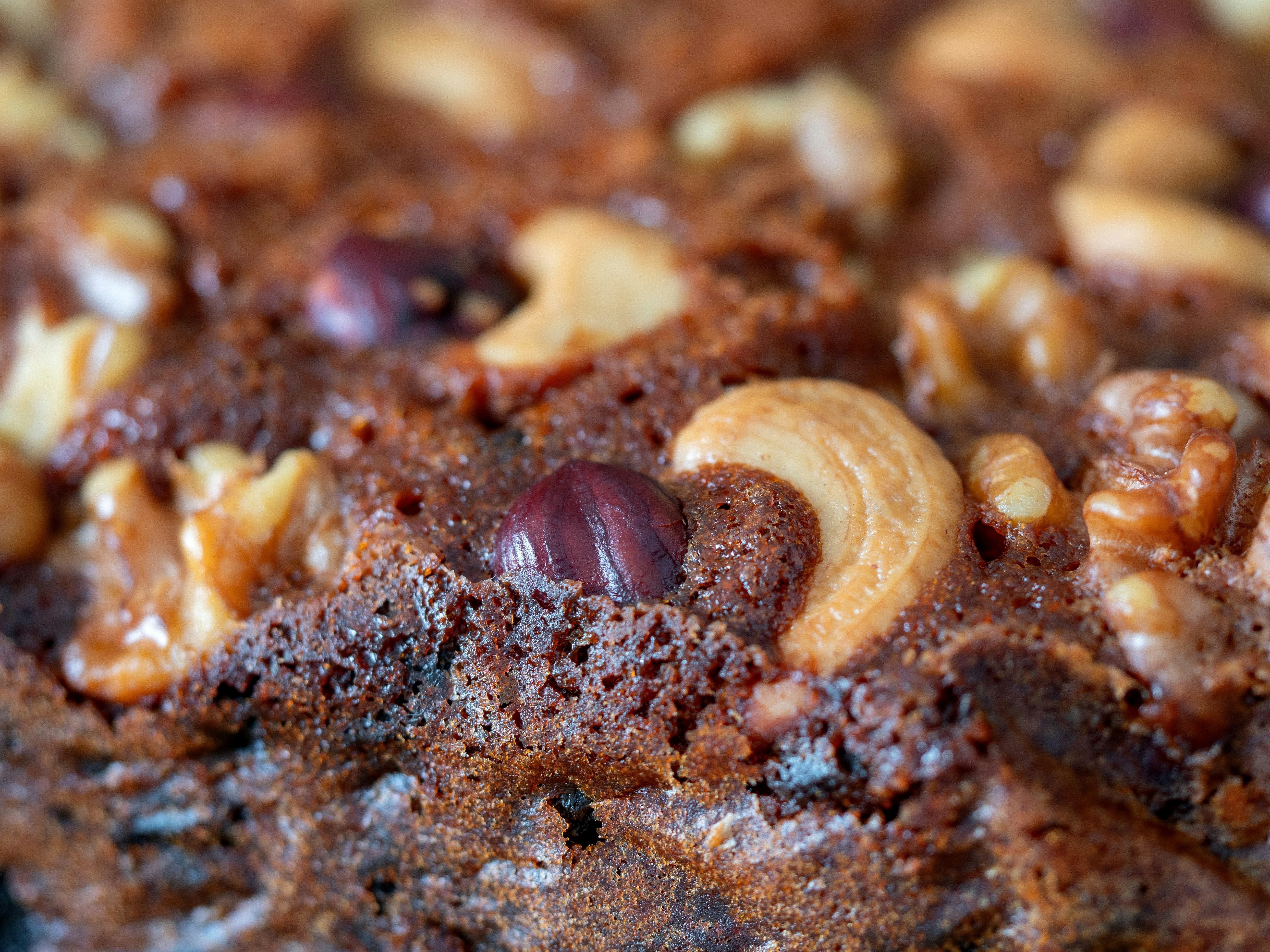 Close-up of a rich chocolate dessert topped with a variety of nuts, showcasing intricate textures and colors.
