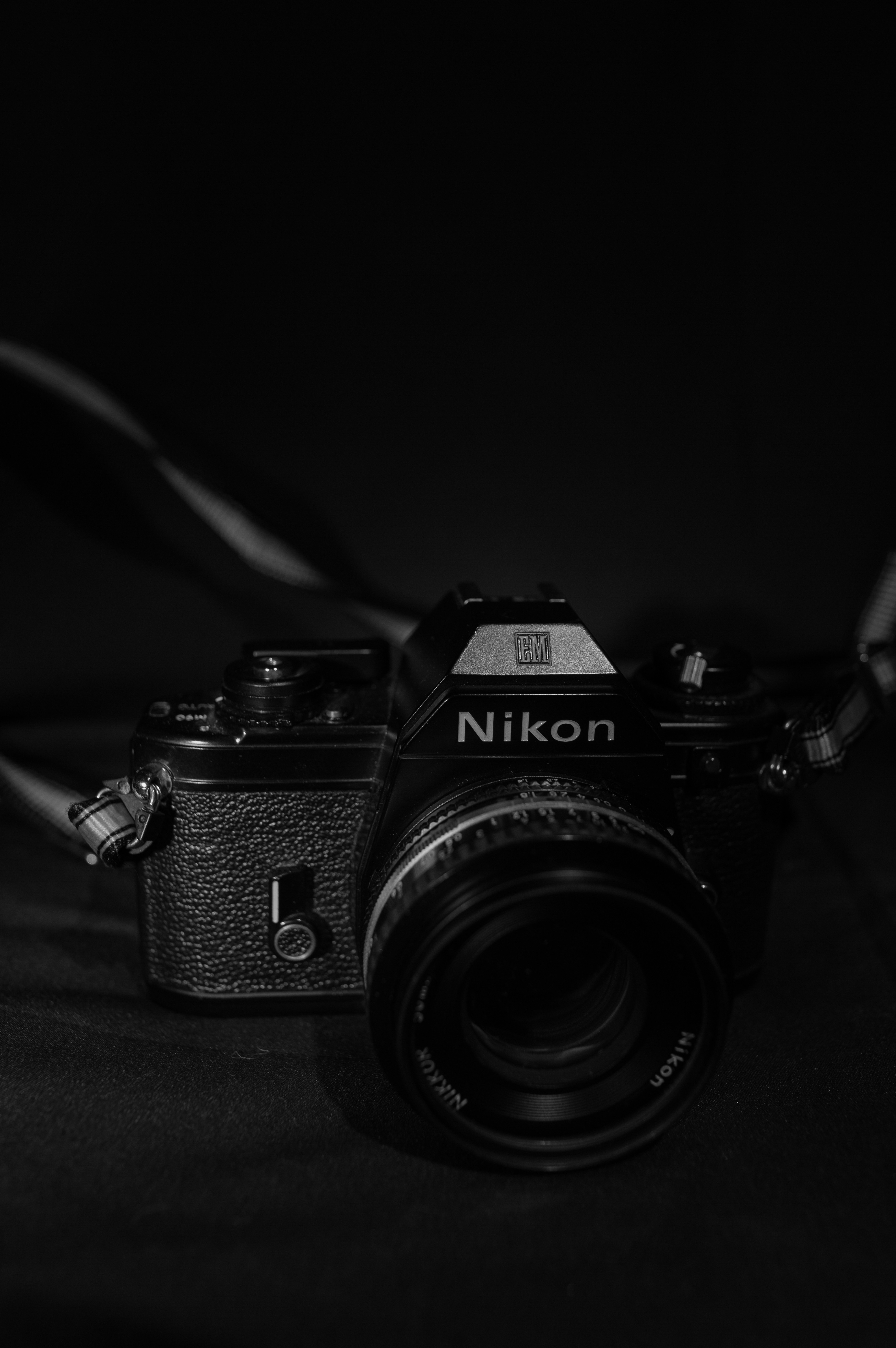 Here is a possible caption: a classic nikon camera is displayed.