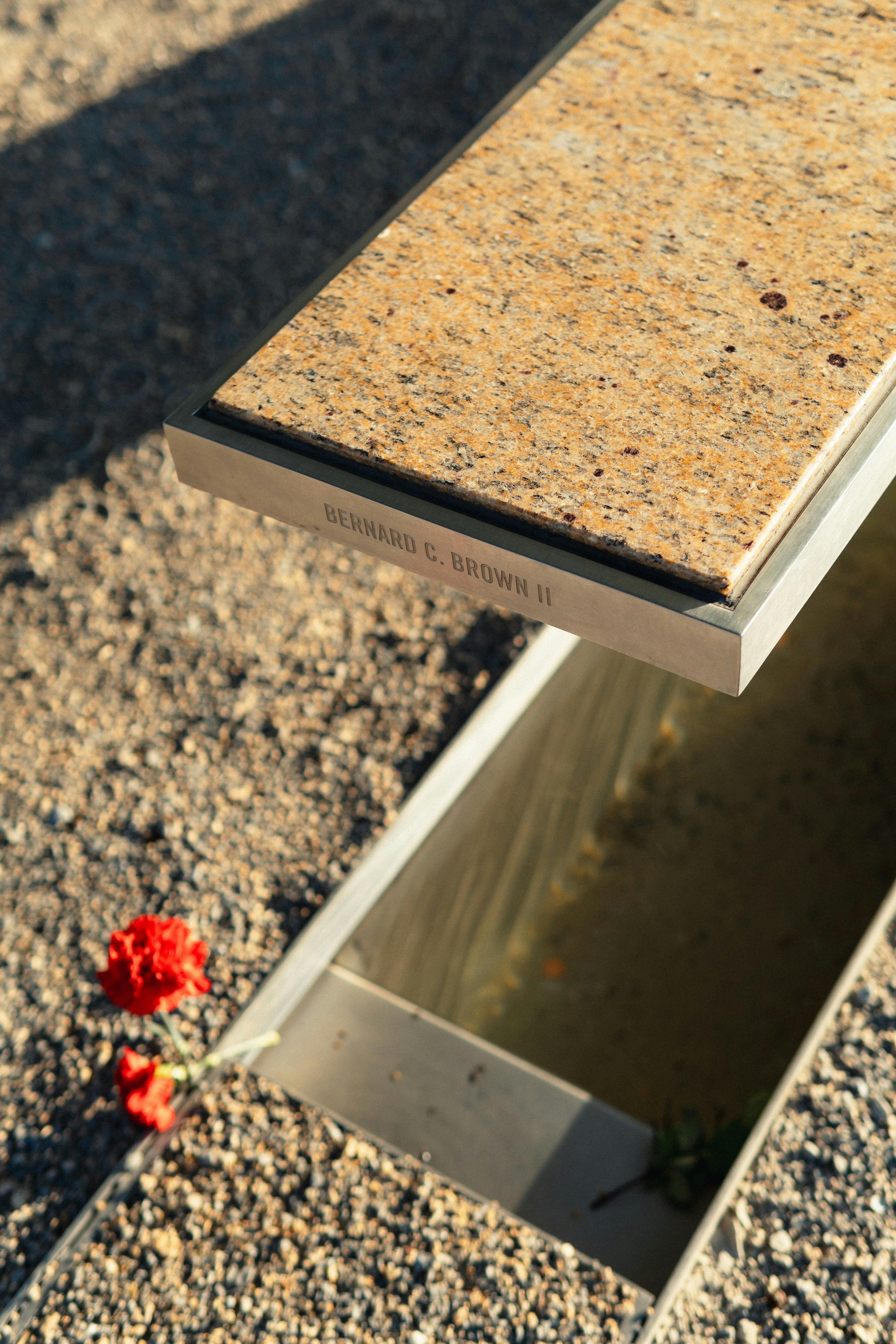 Edge of Remembrance: Engraved Granite Bench and Red Carnations