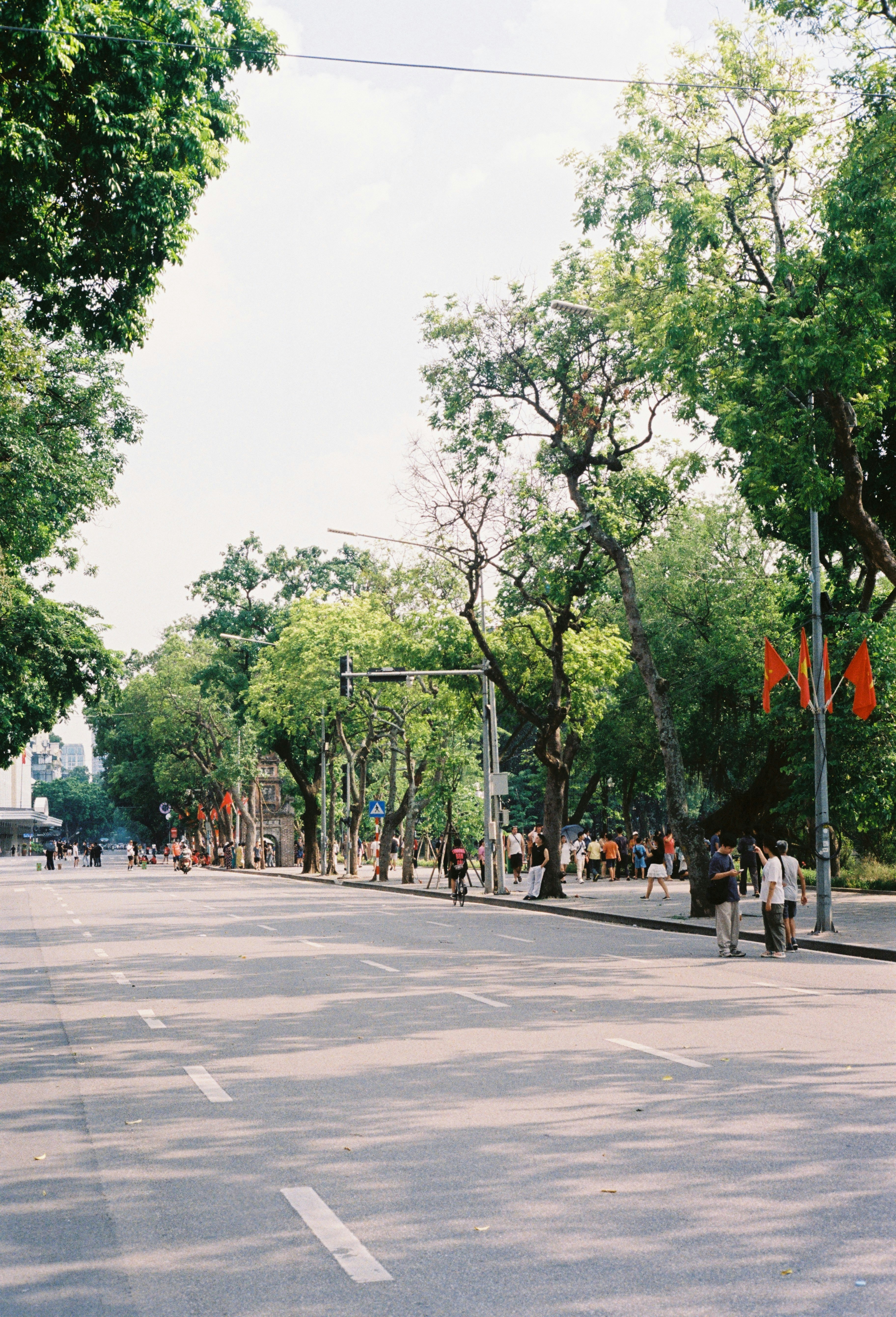 A street with people, trees, and red flags.