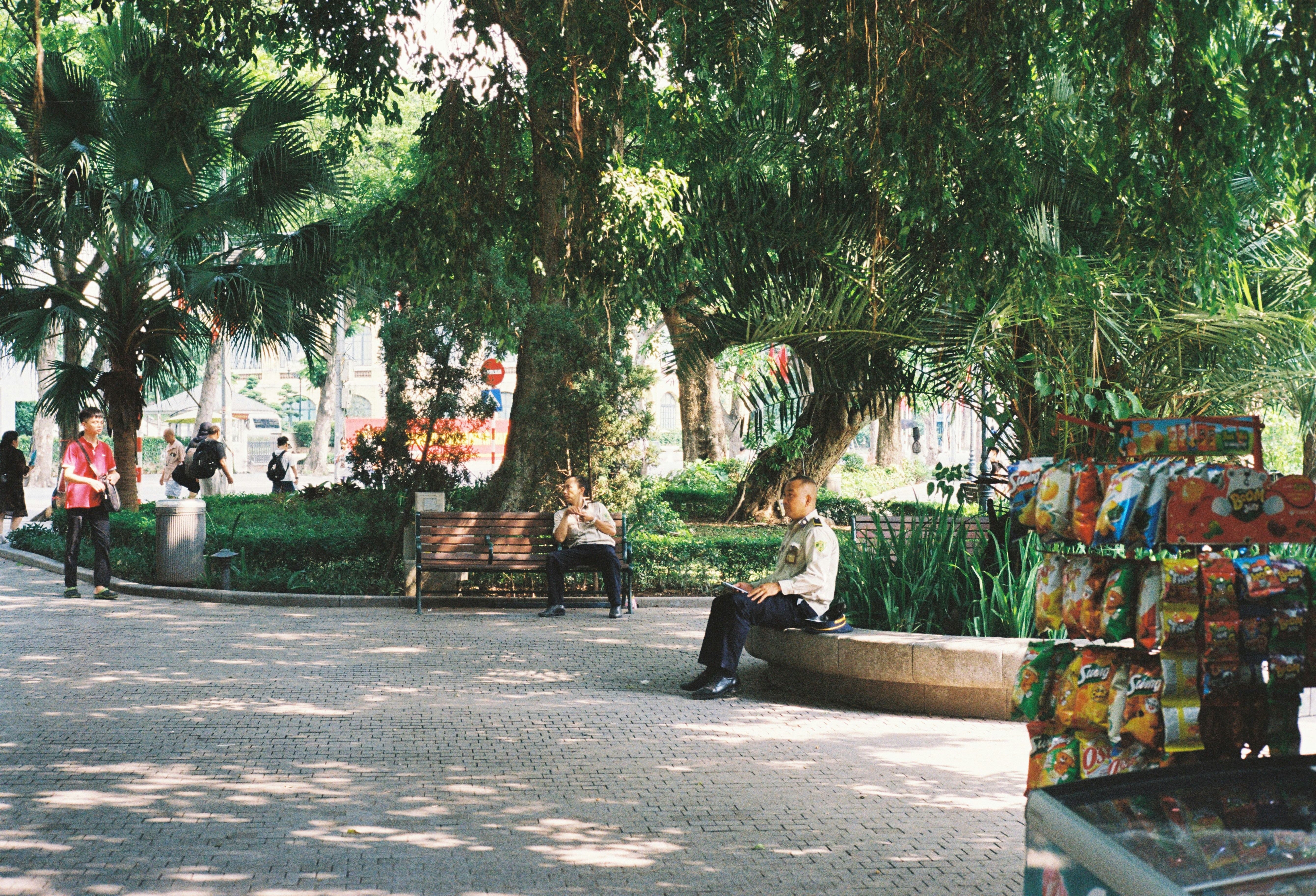 People are relaxing in a shaded, green park.