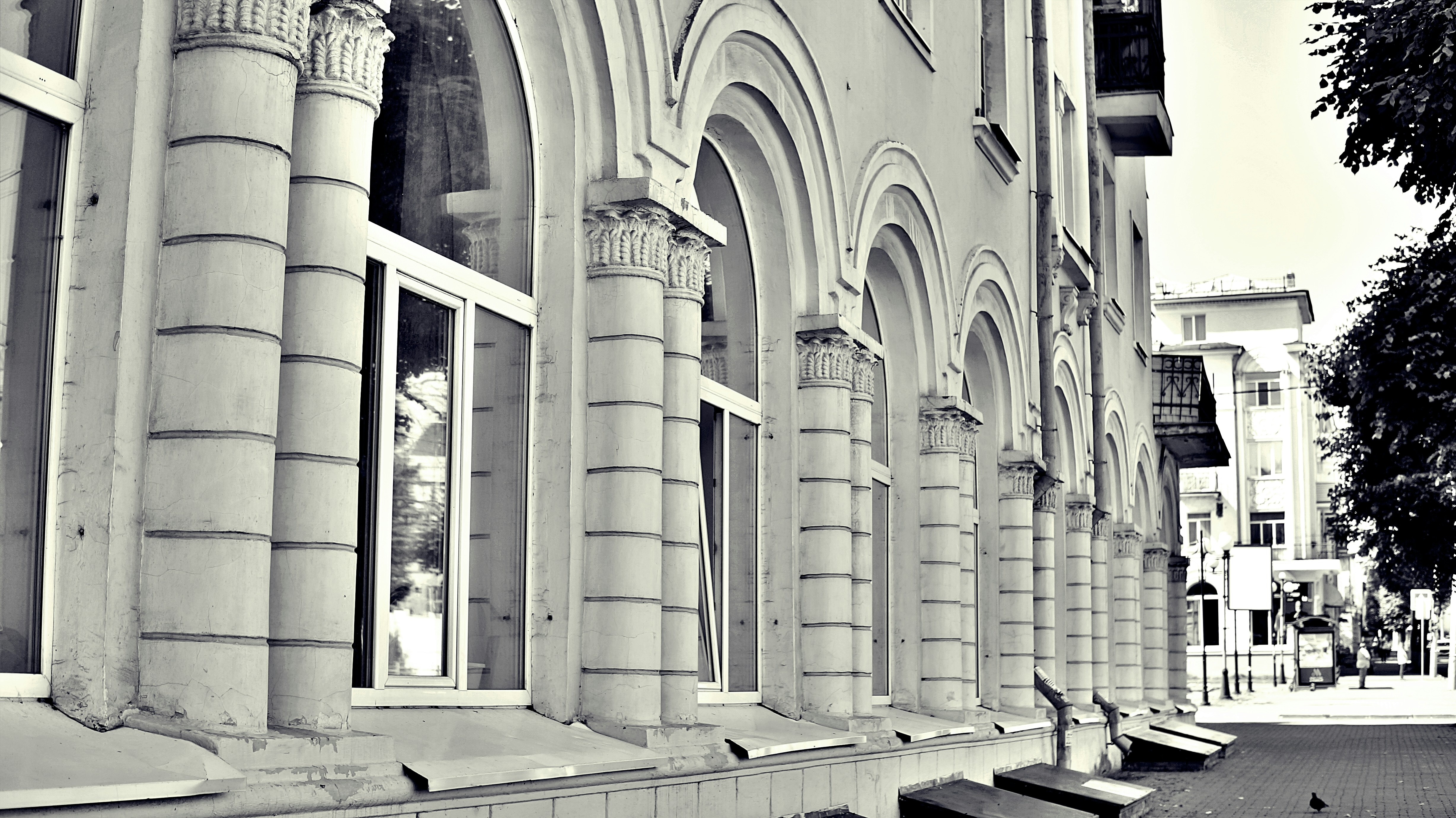 Architectural Echoes: The Elegance of Columns