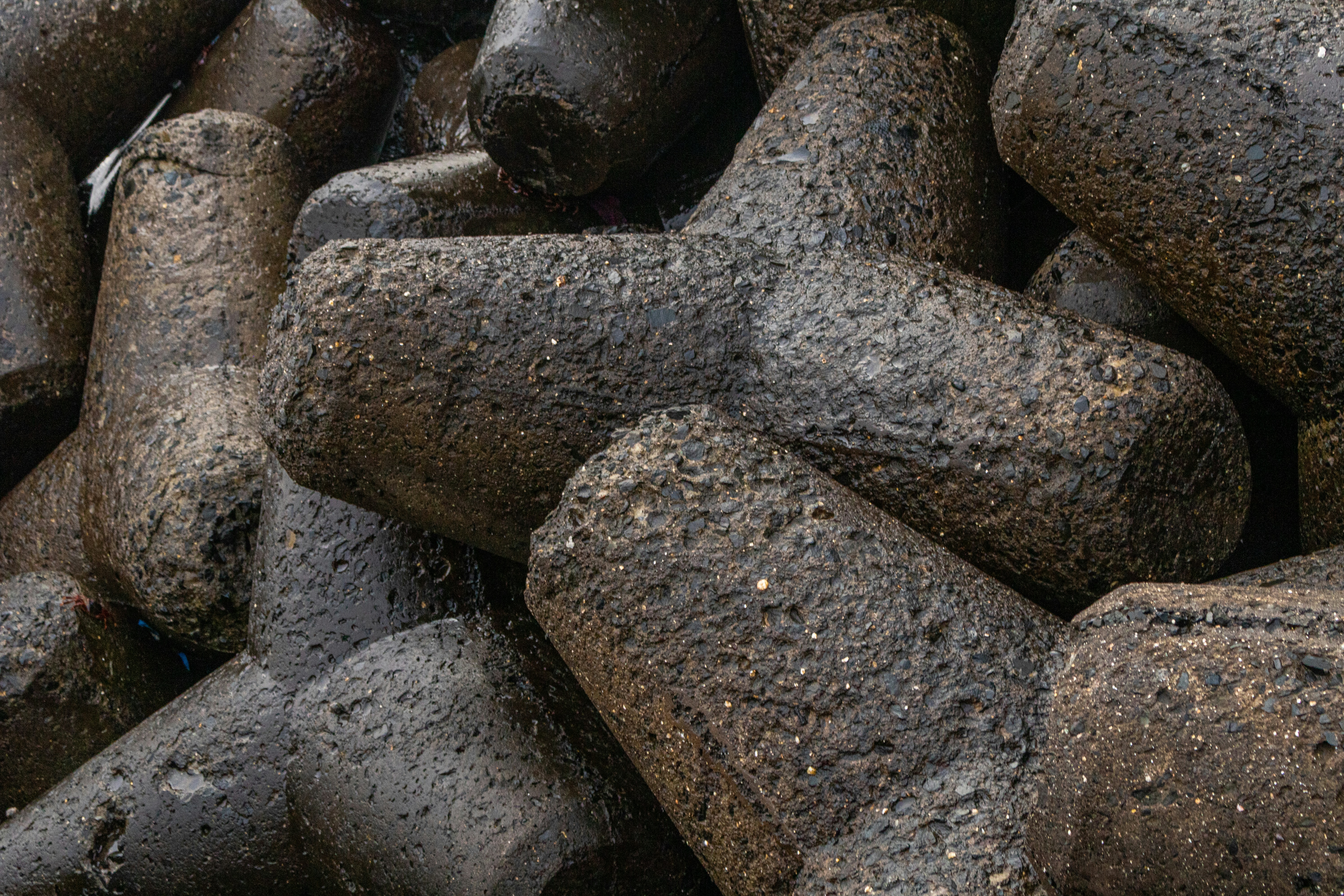 Nature's Sculpted Textures: A Study in Form
