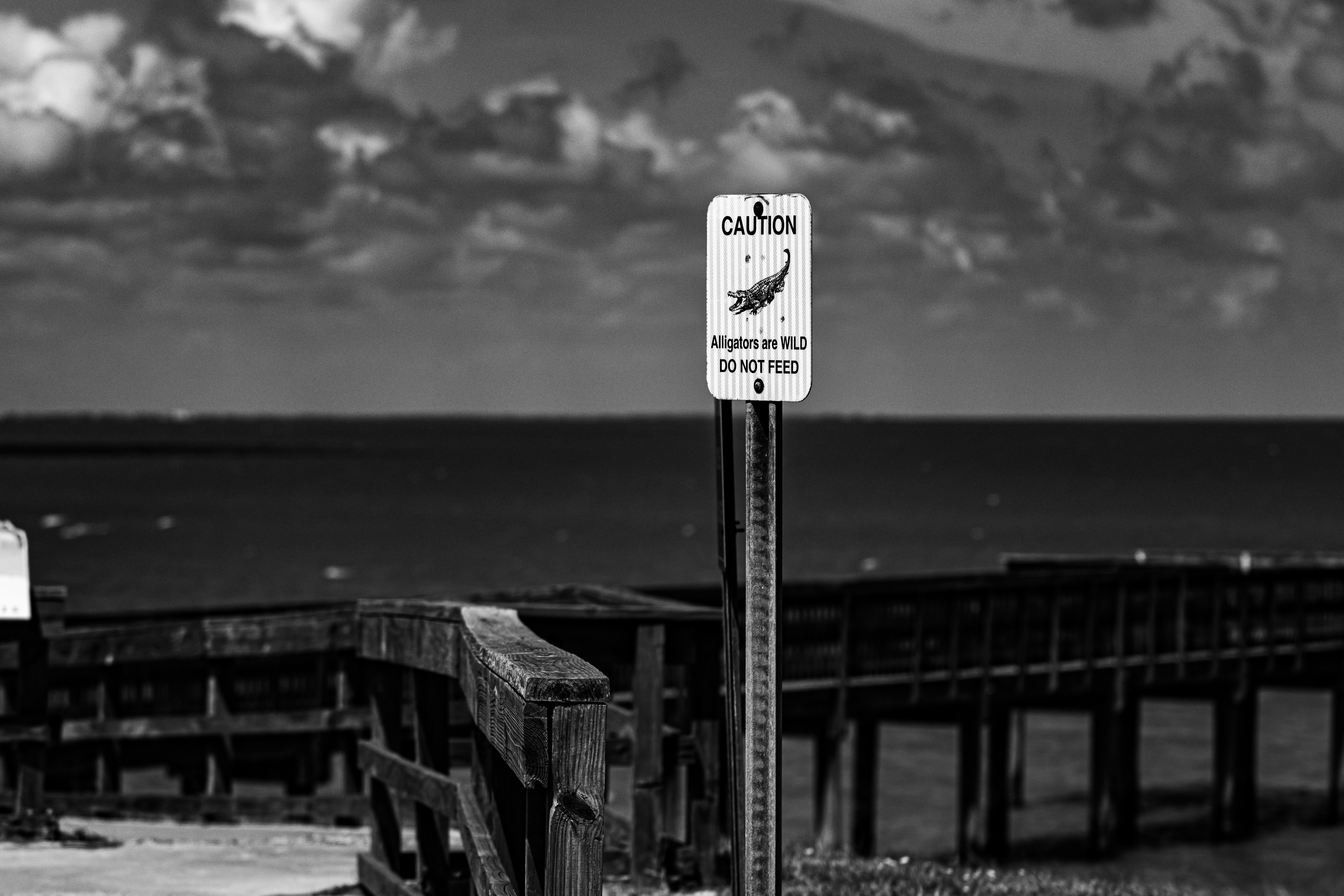 Caution sign warns of falling pelicans.