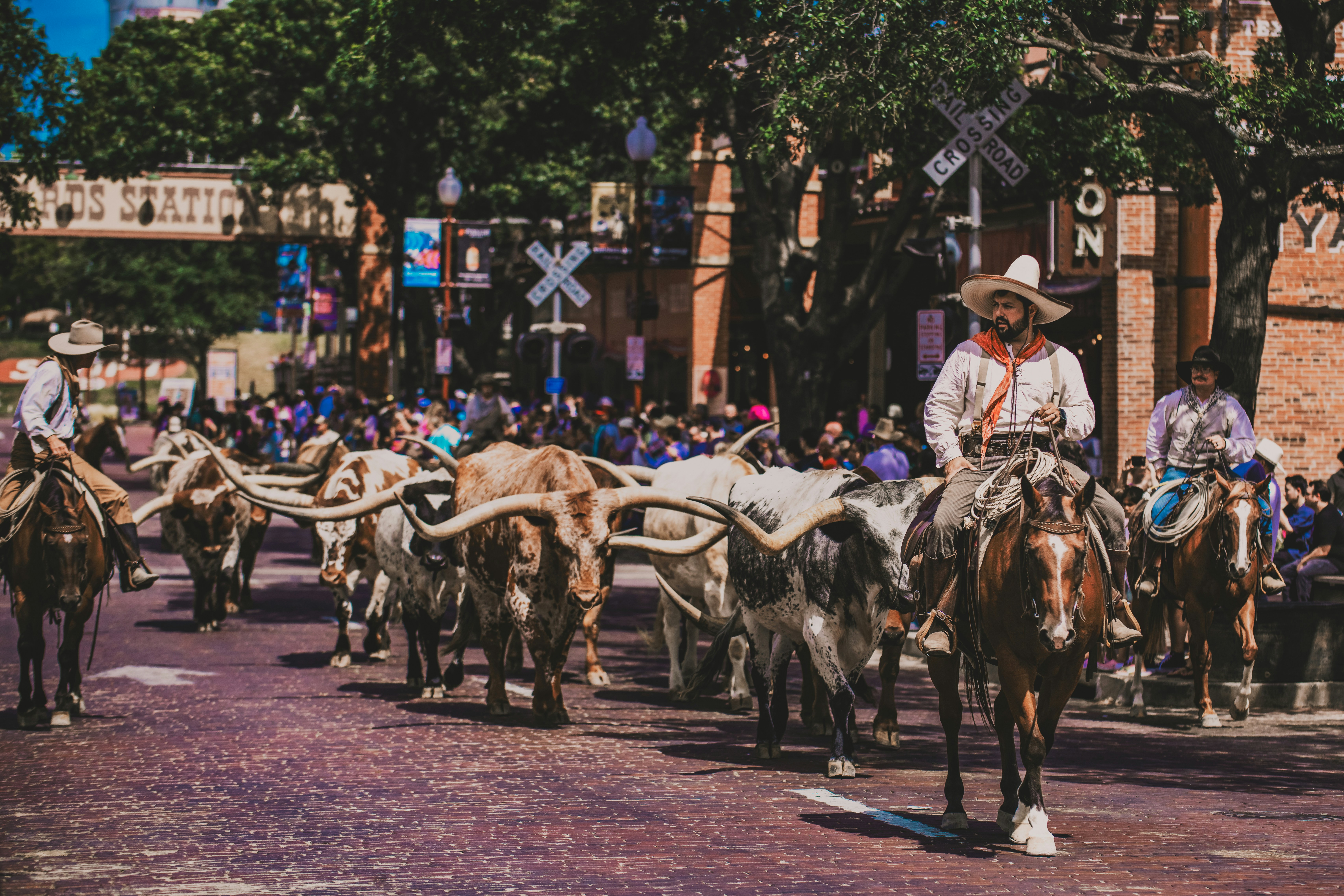 Dust and Derby: A Row of Wagons Lead a Colorful Town Parade
