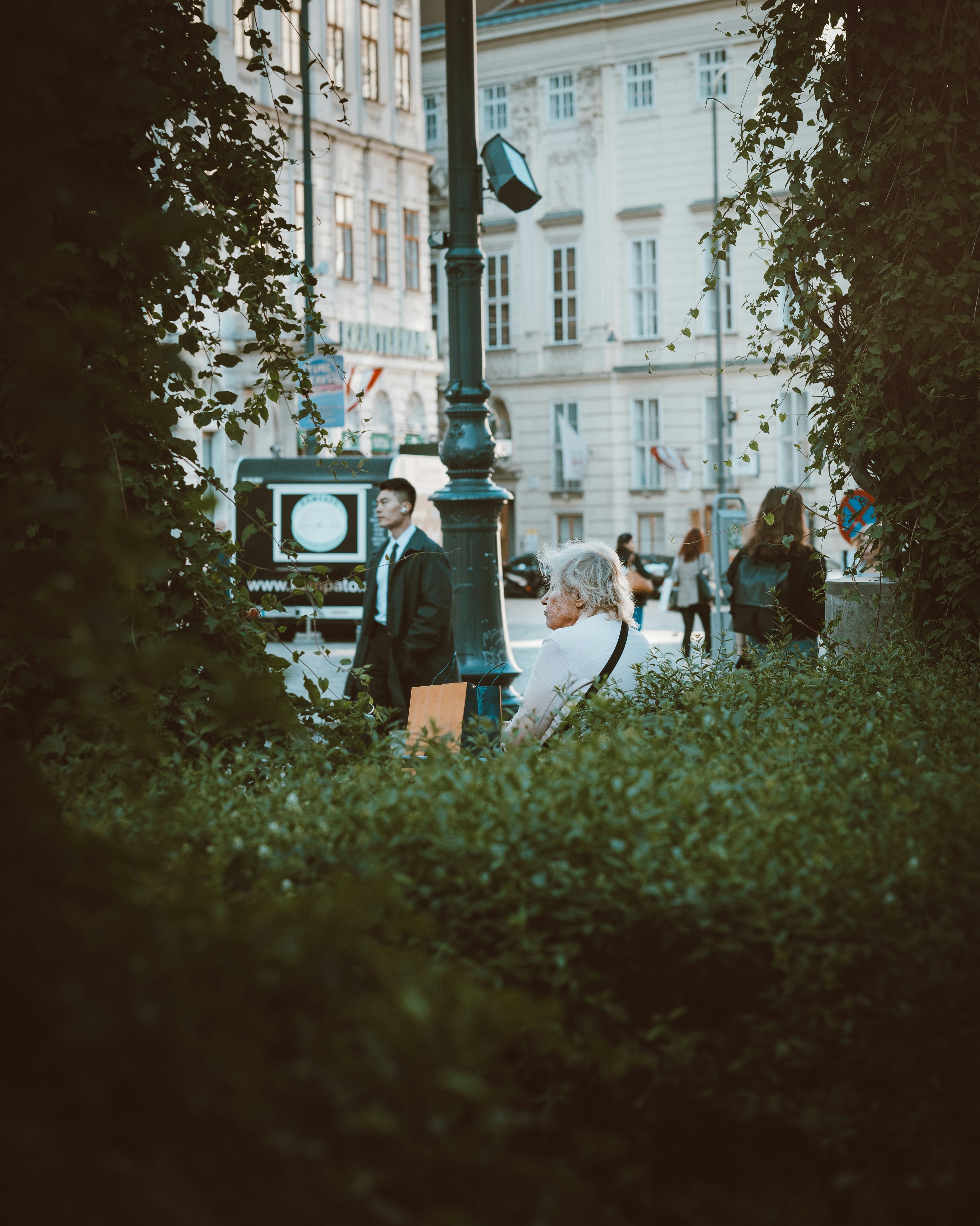 Urban Serenity Amidst the Rush
