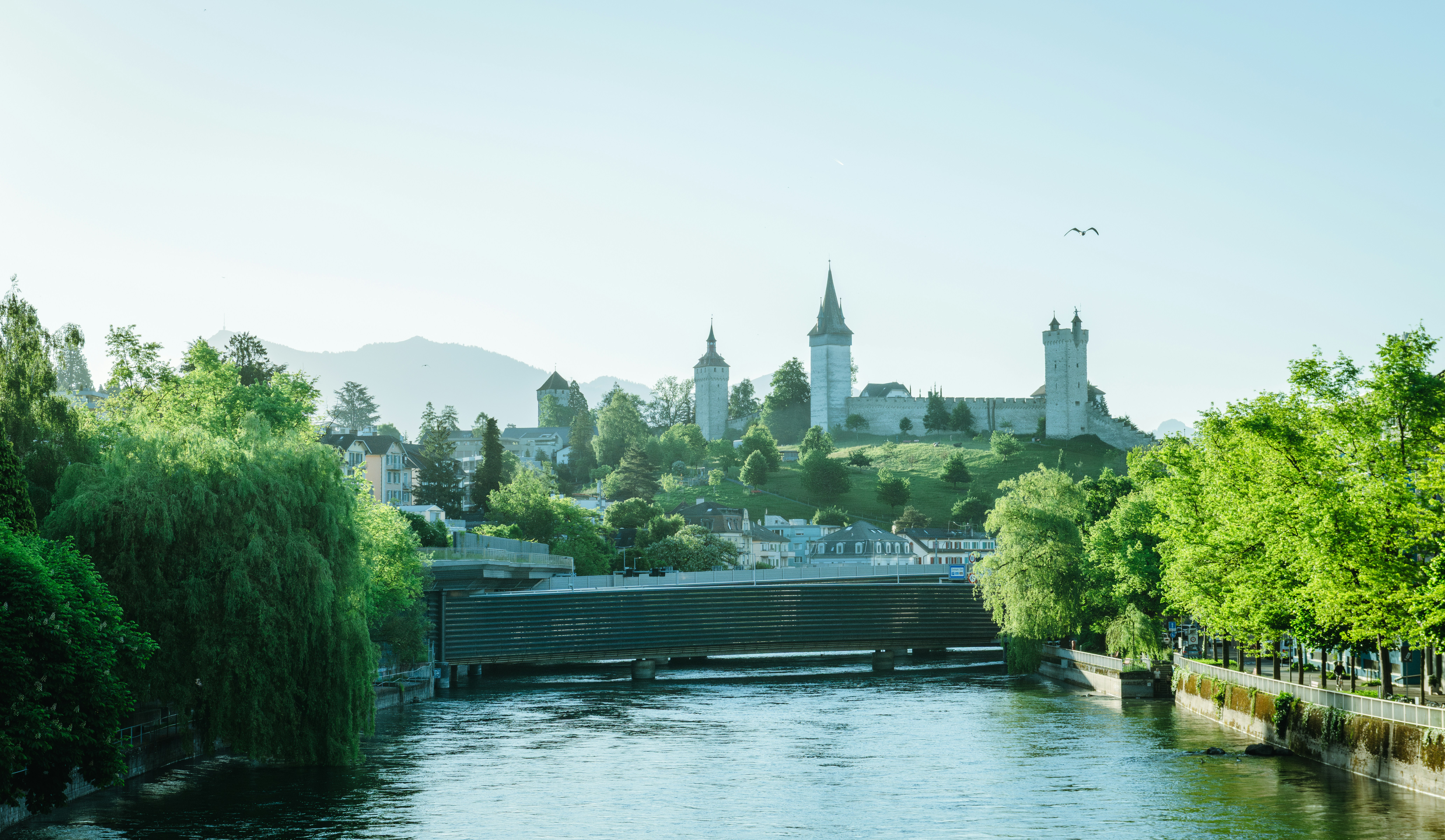 A Serene Morning Overlooking the Riverbank