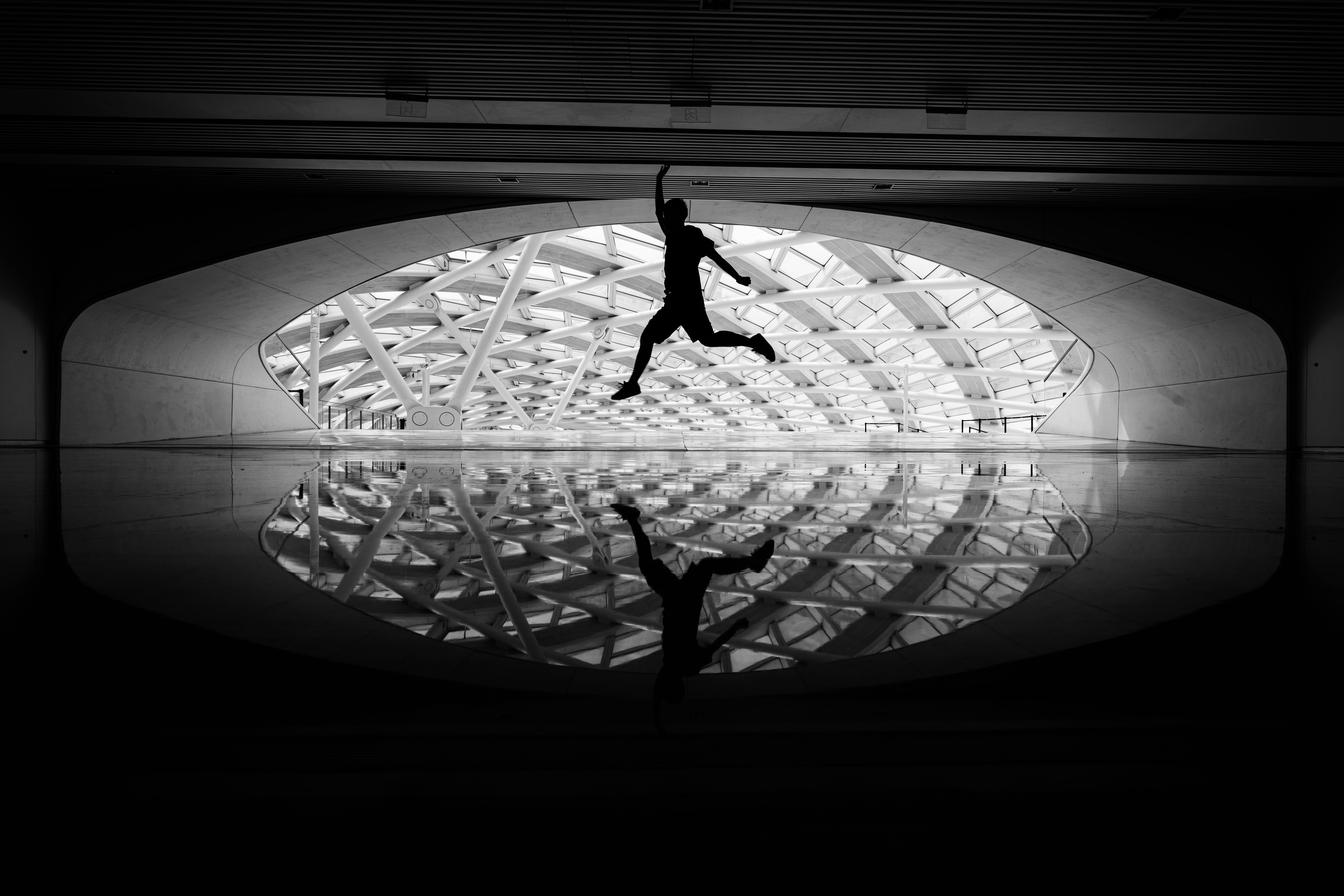 Elegance in Motion: A Dance of Shadows