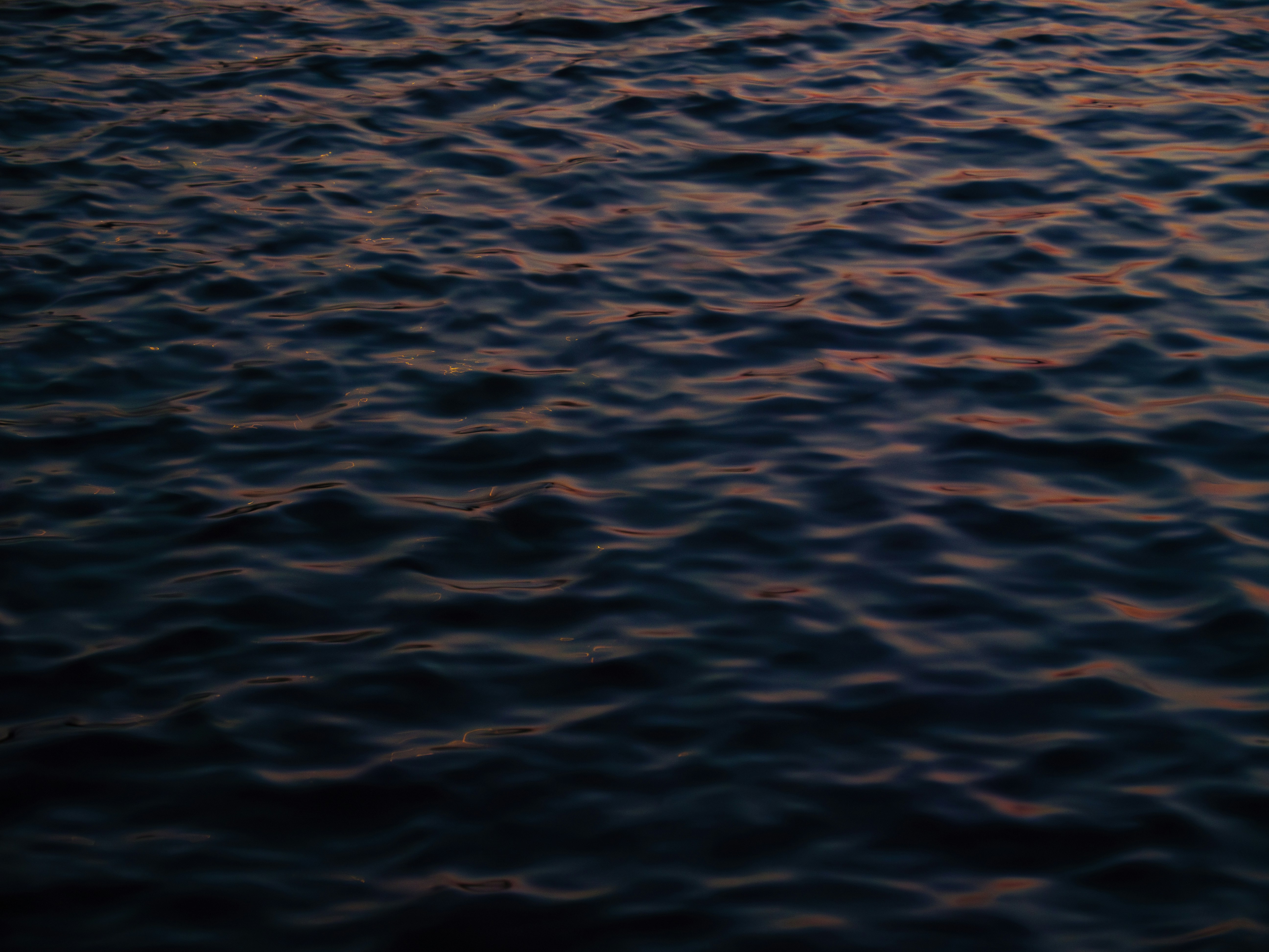 Dark, rippling water reflects light.