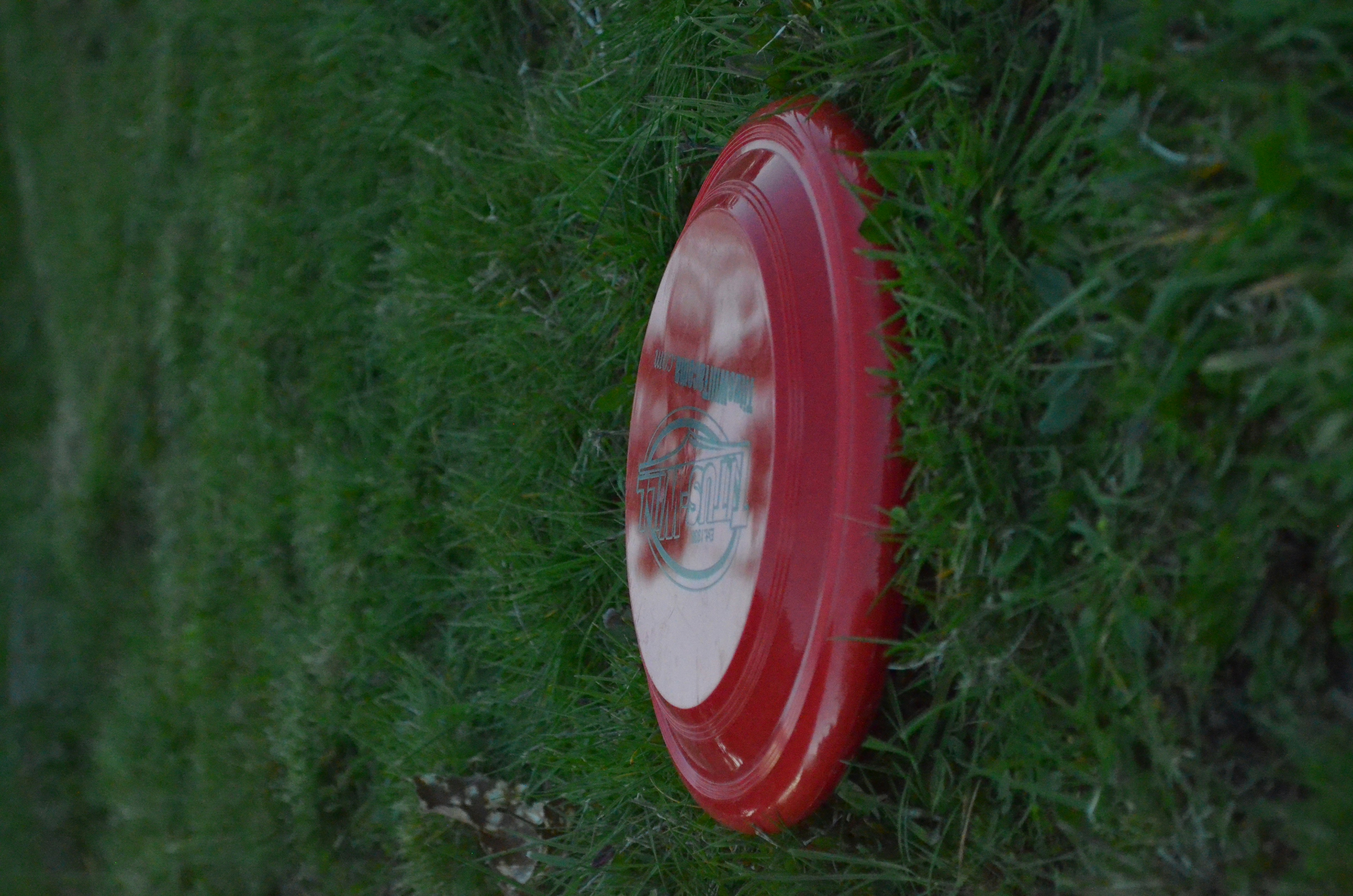 A red frisbee rests on green grass.