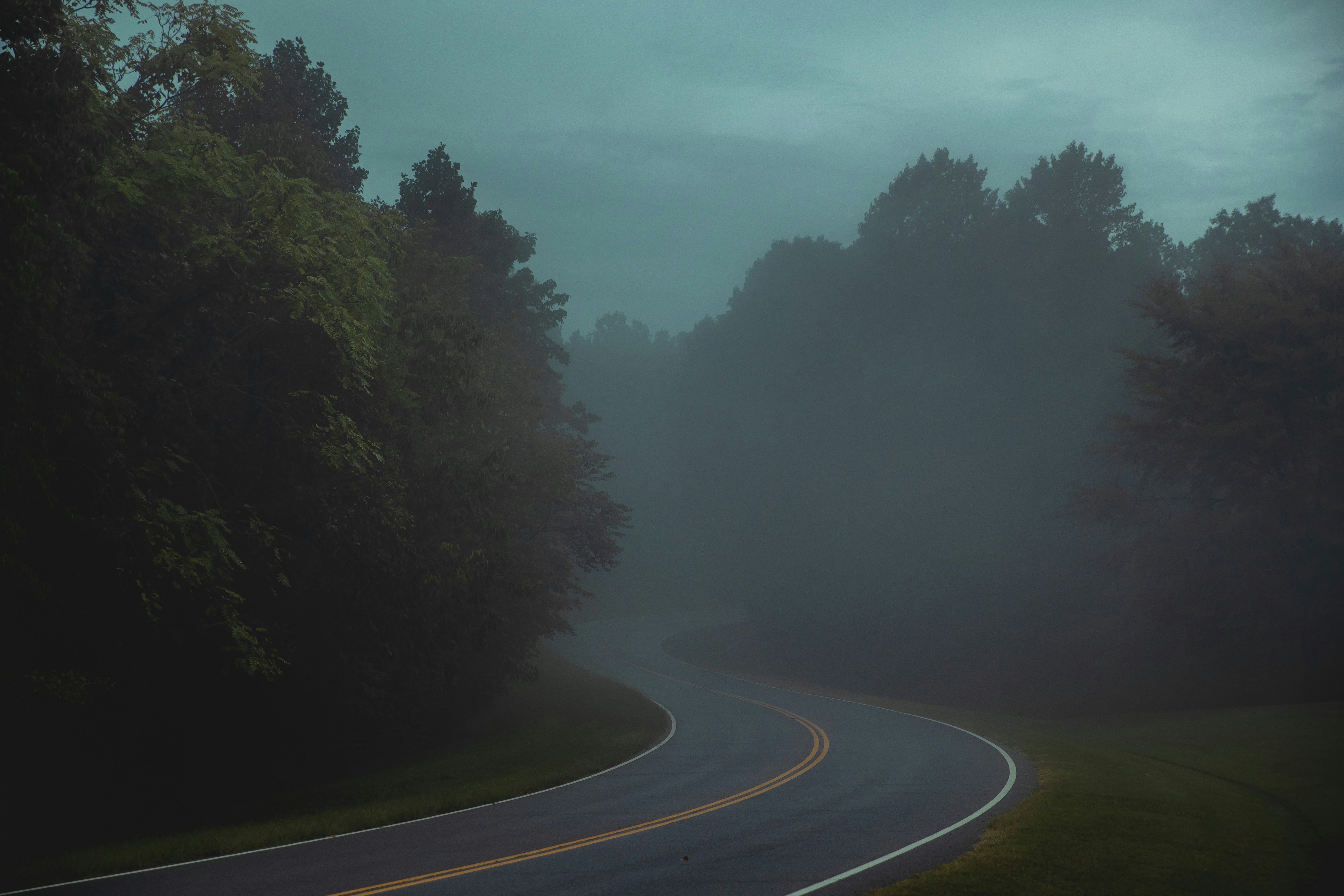 Whispers of the Winding Road