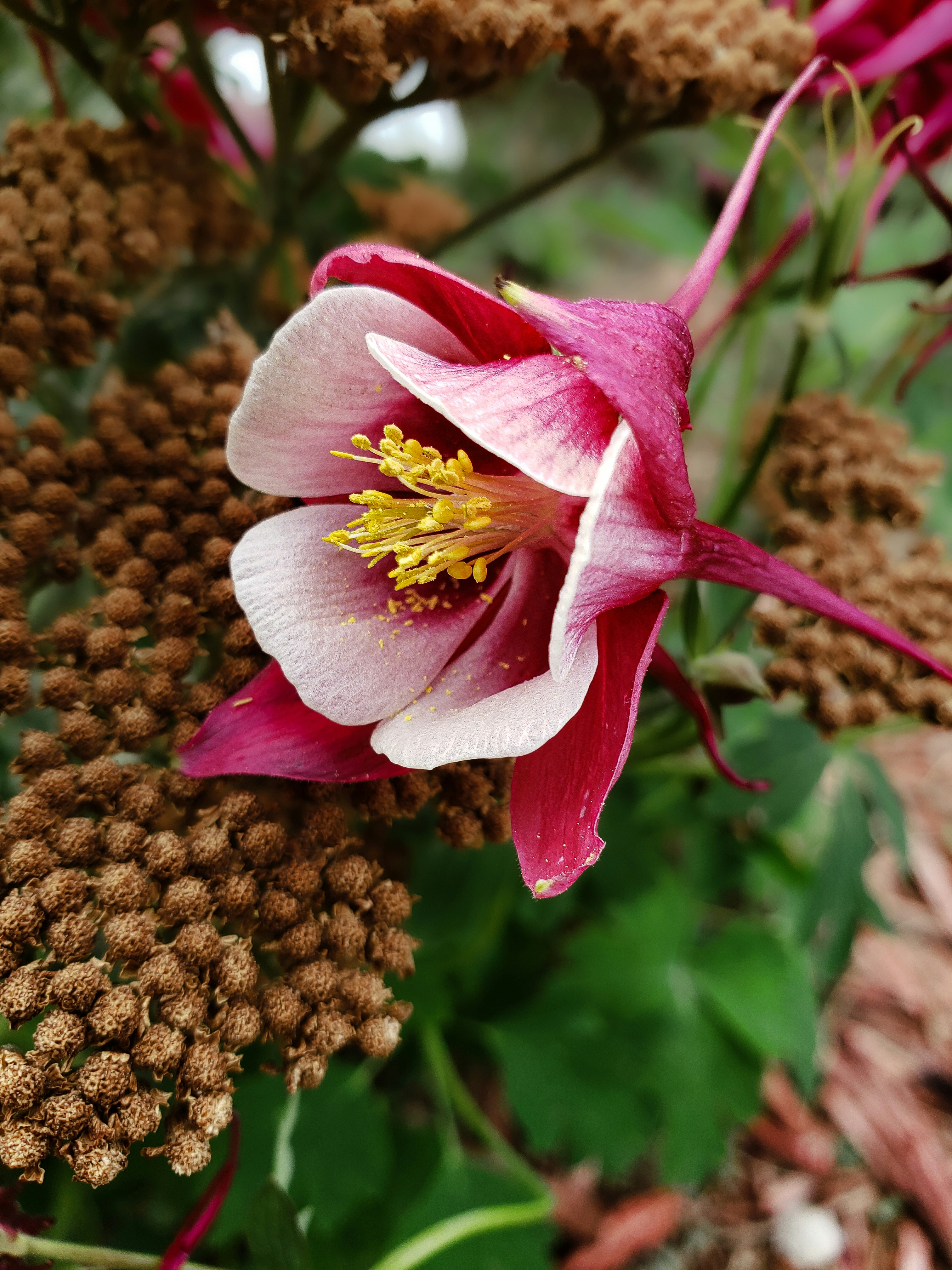 Whispers of Nature: A Floral Embrace