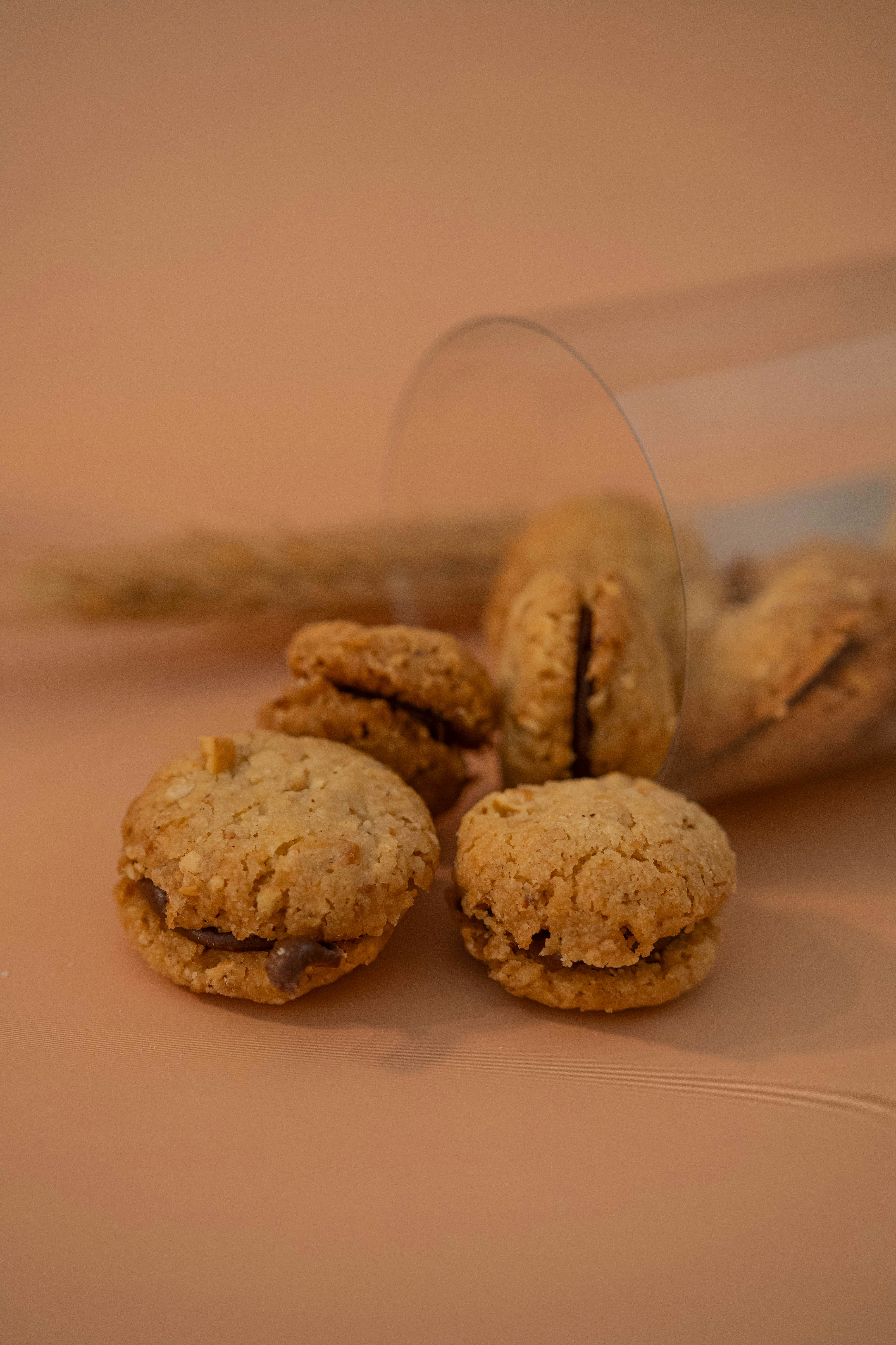 Delightful Crunch: A Cookie's Journey