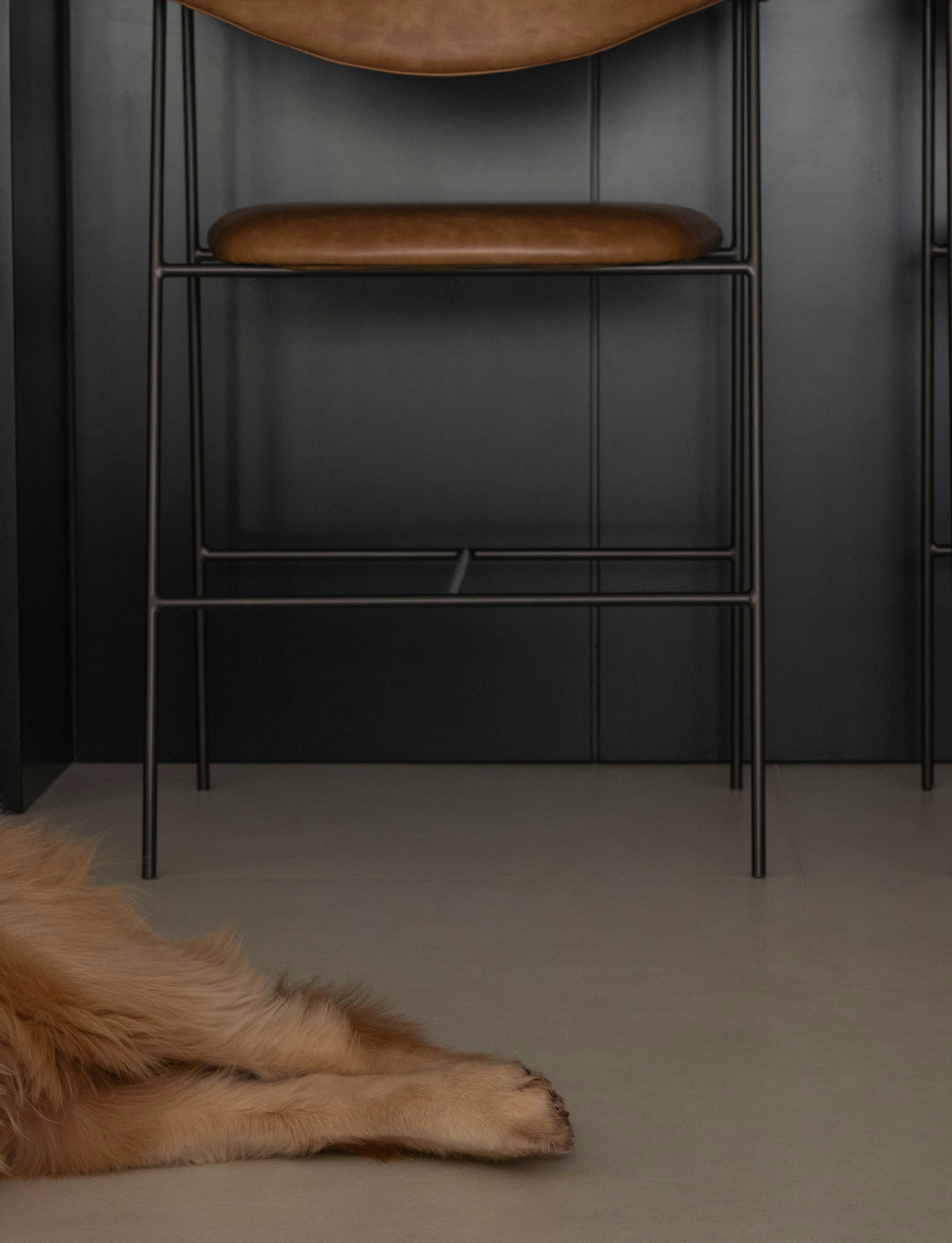 Fotografia para Nova Marcenaria. Arquiteta Jessica De Carli. Caxias do Sul | RS | A chair and a dog's paws are in view.